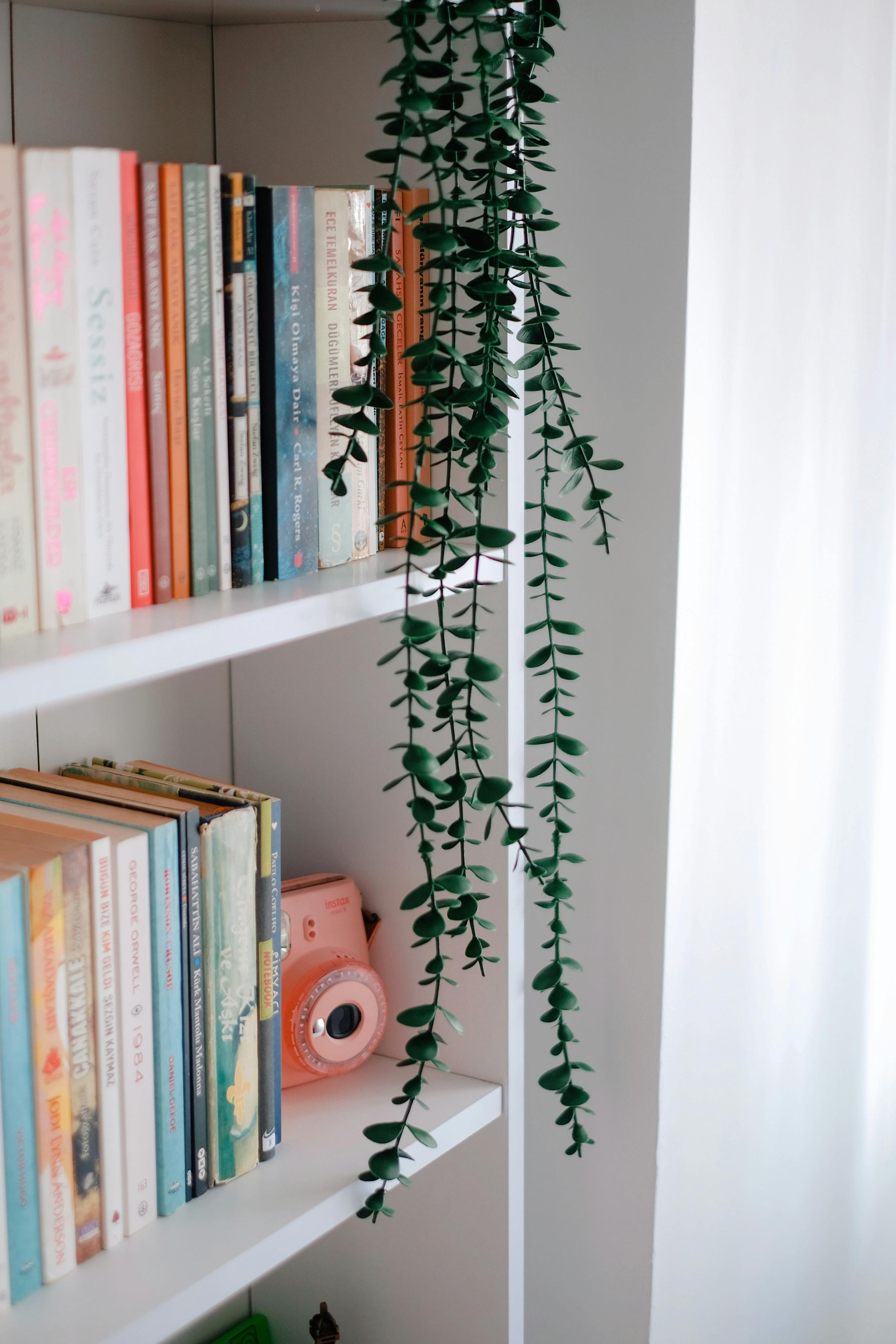 Bright Bookshelf with Hanging Greenery · Free Stock Photo