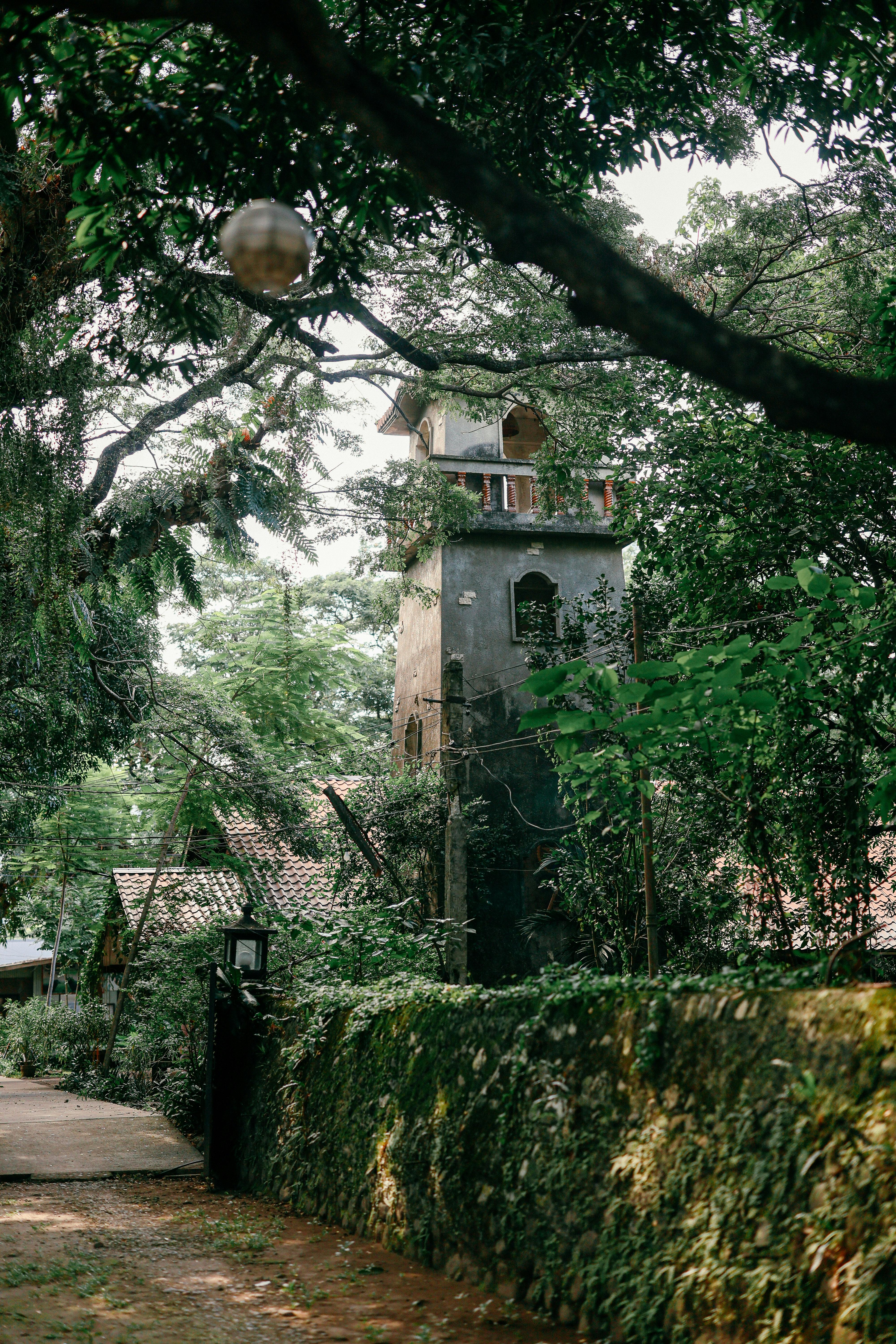 Menara Batu Kuno Di Hutan Rimbun · Foto Stok Gratis