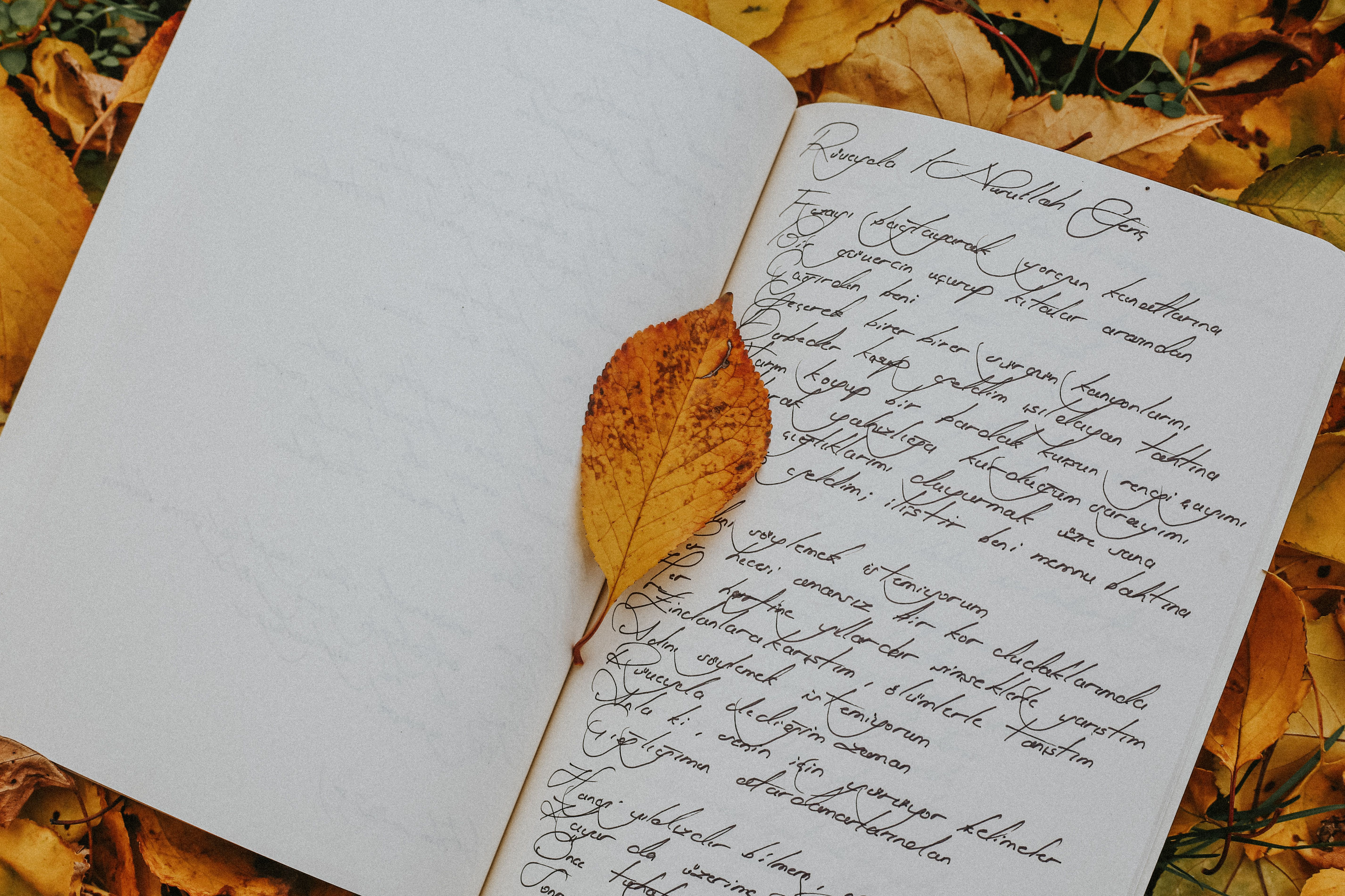 Cuaderno Abierto Sobre Hojas De Otoño Con Escritura A Mano · Foto de ...