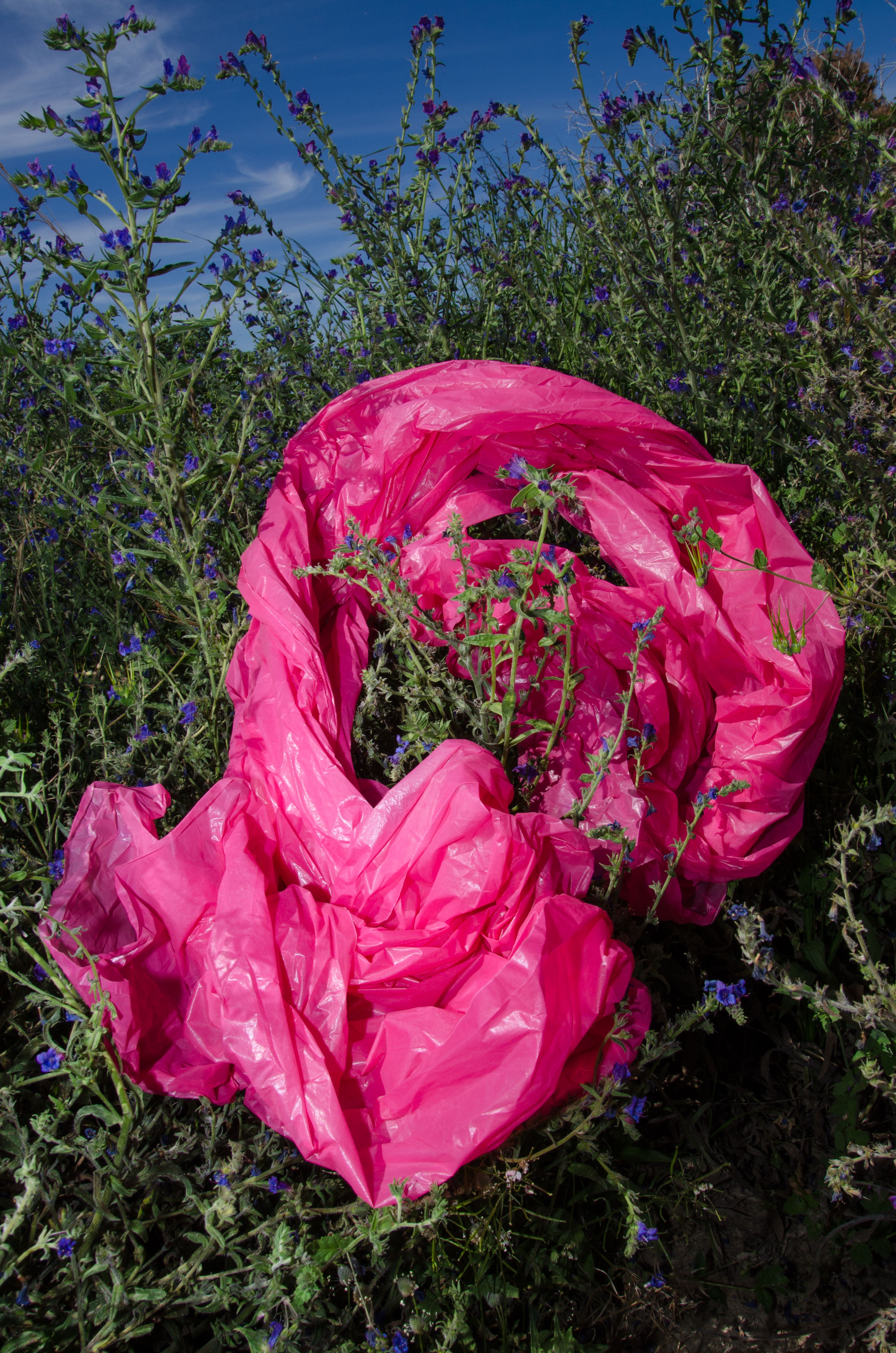 Recycle? Photos, Download The BEST Free Recycle? Stock Photos & HD Images
