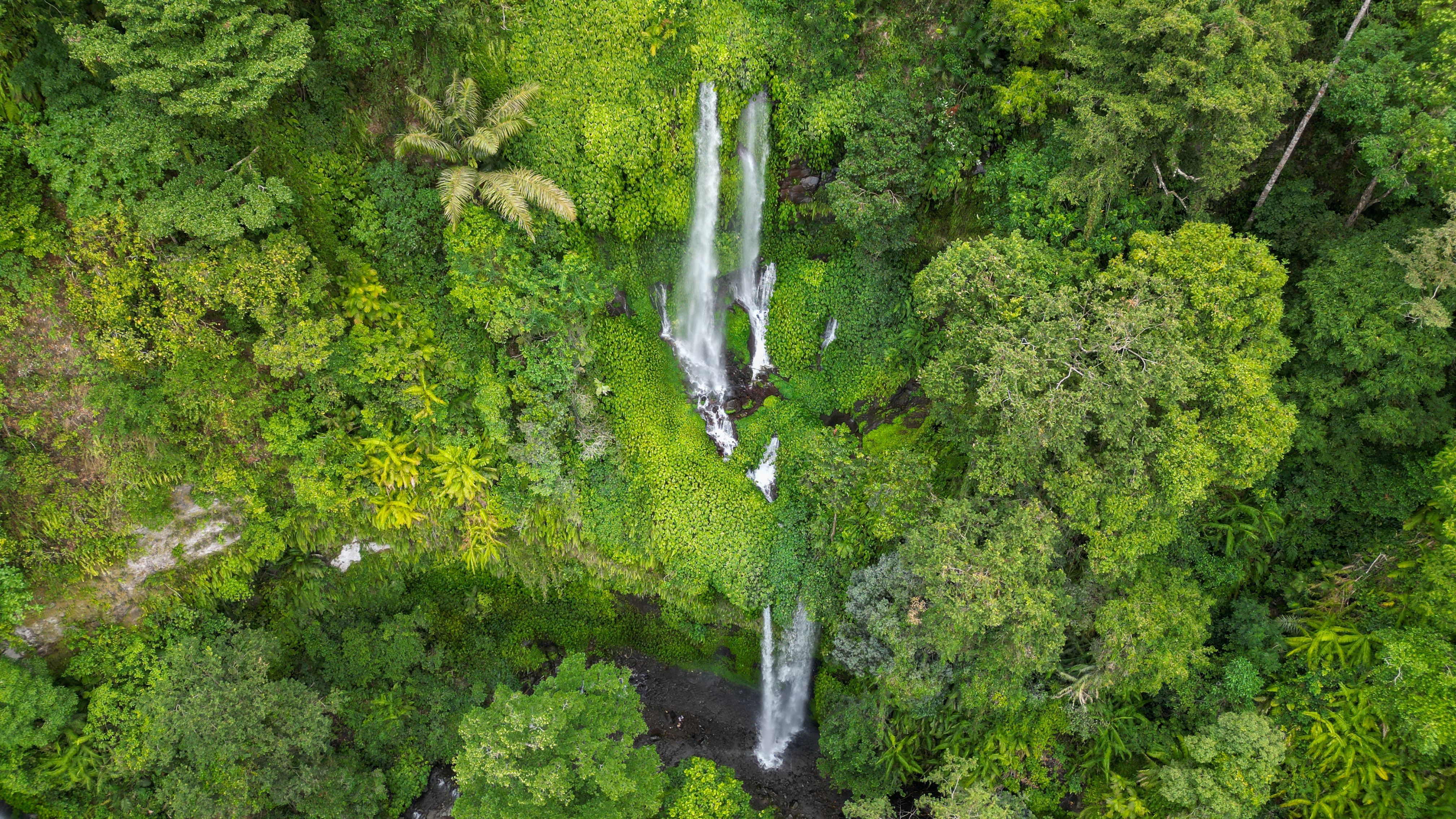 Lush Tropical Waterfall in Verdant Jungle Landscape · Free Stock Photo