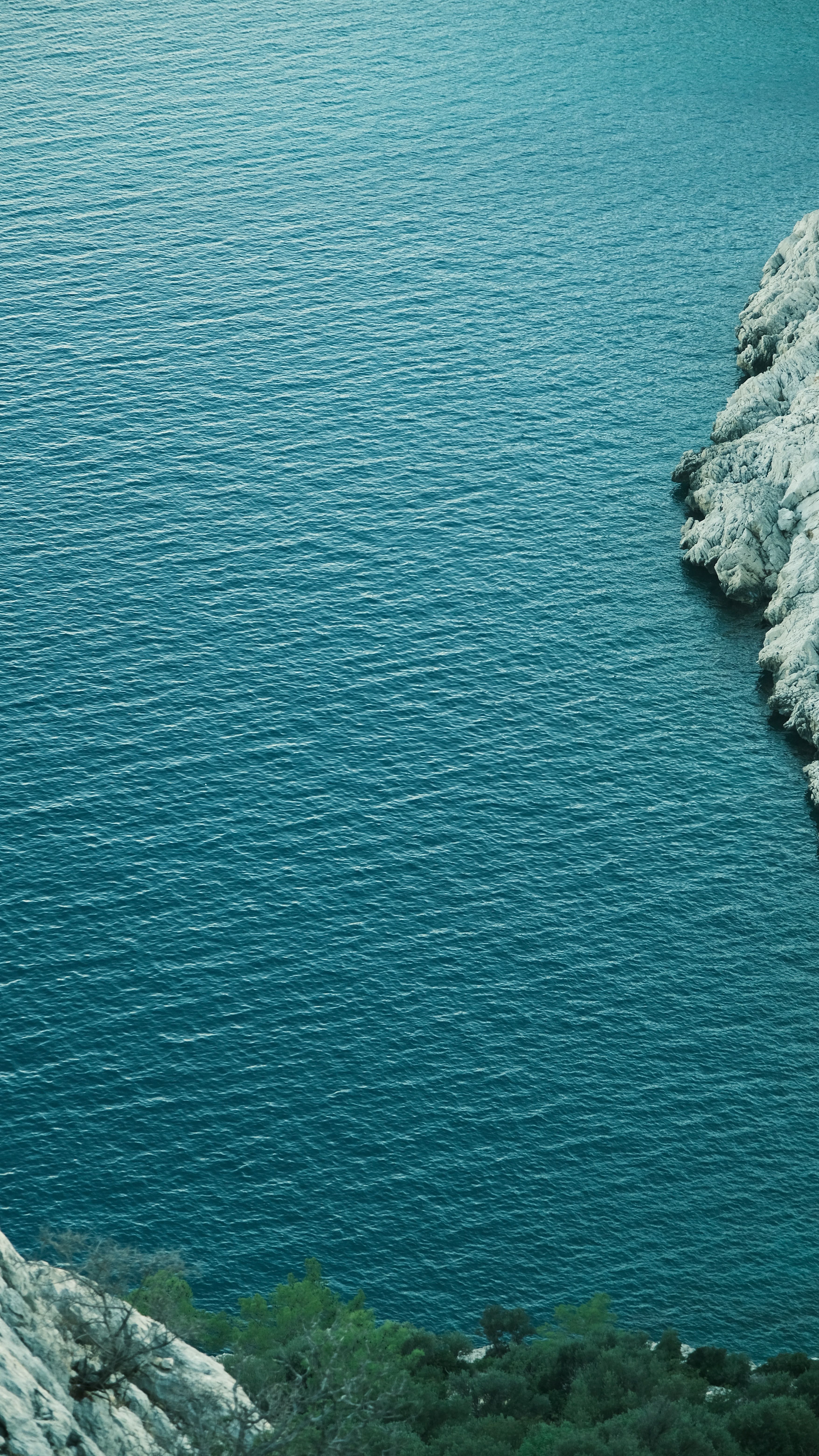 Scenic Coastal Cliffside with Ocean View · Free Stock Photo