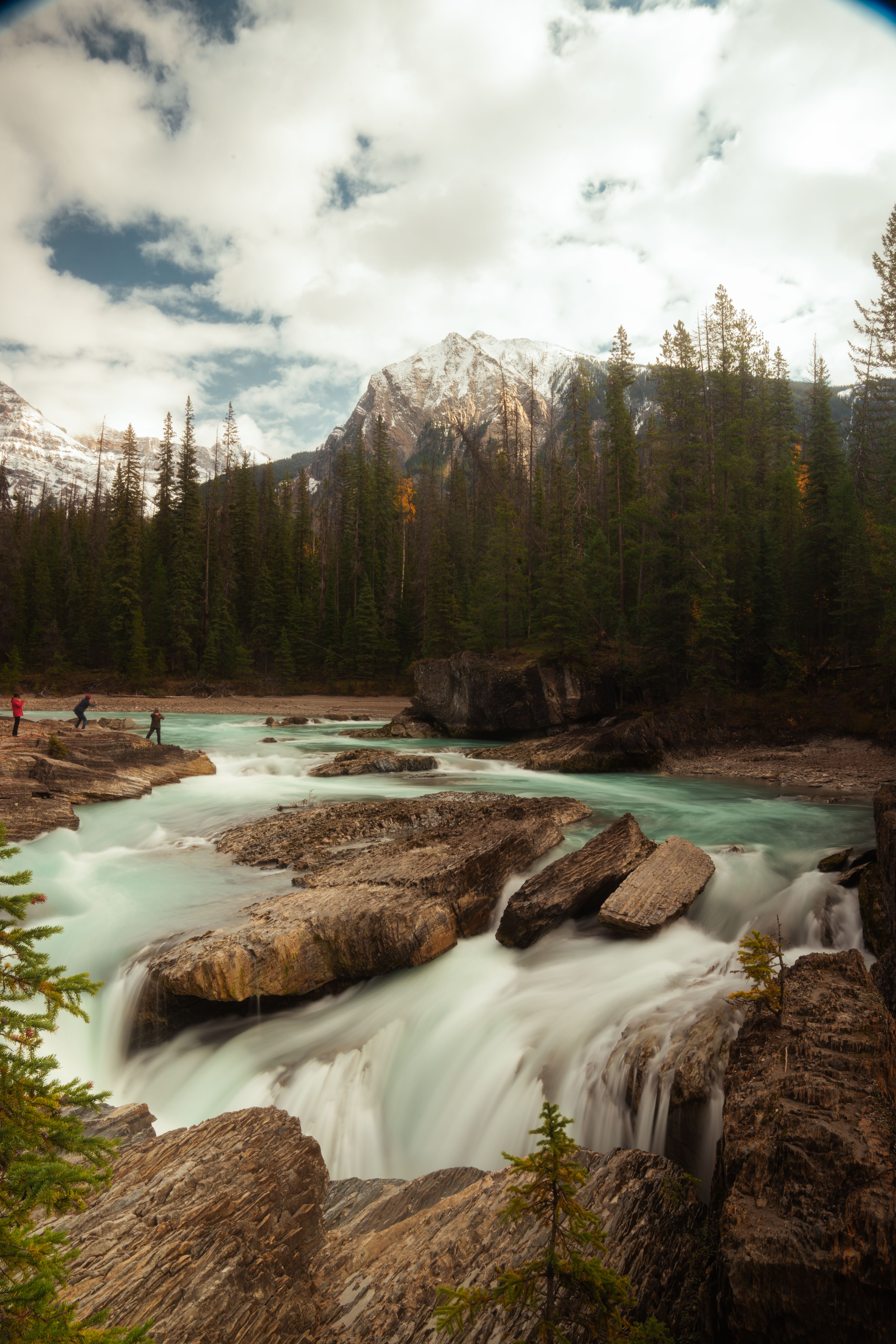 Scenic Mountain River with Pine Forest · Free Stock Photo