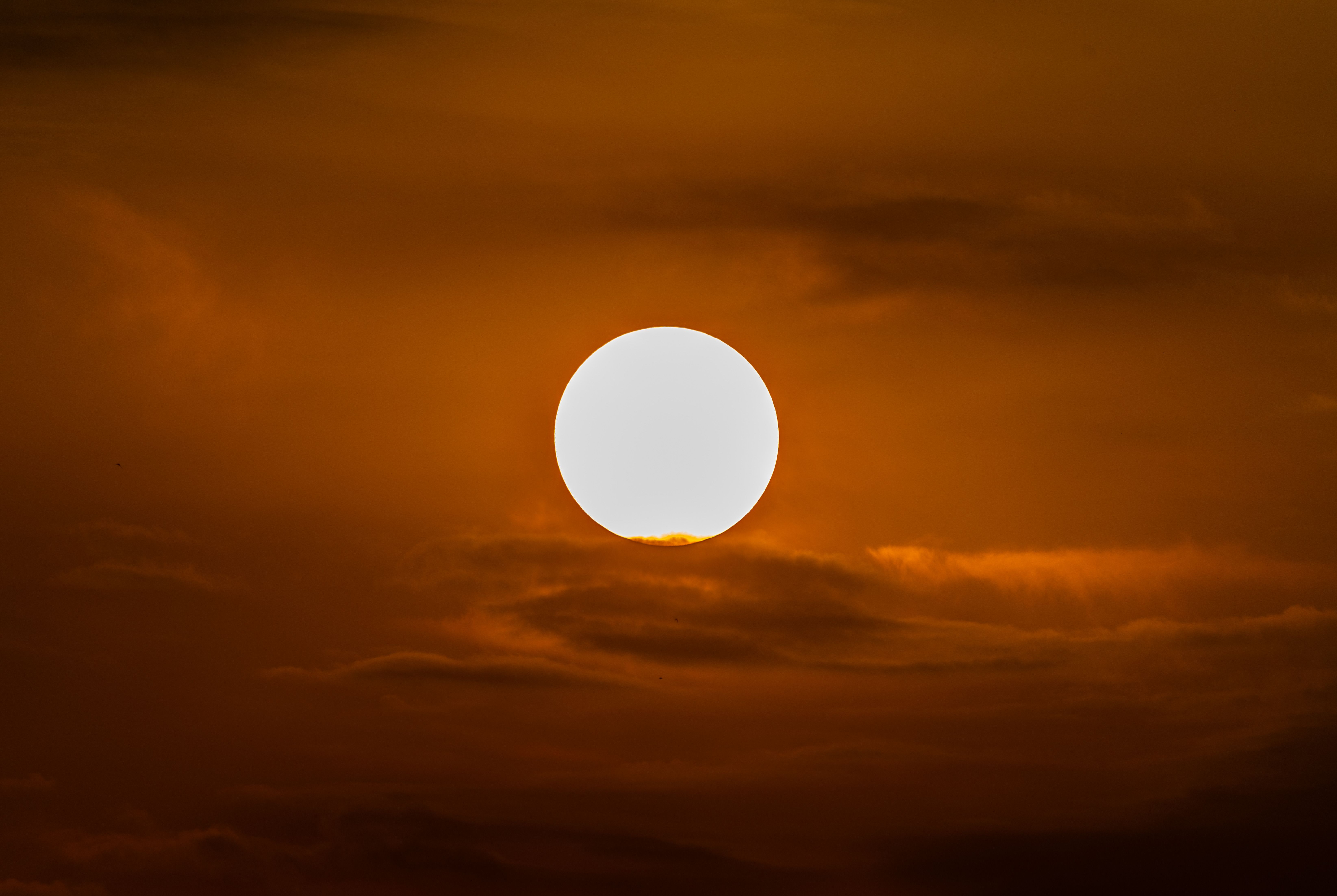 Dramatic Orange Sky with Luminous Sun · Free Stock Photo