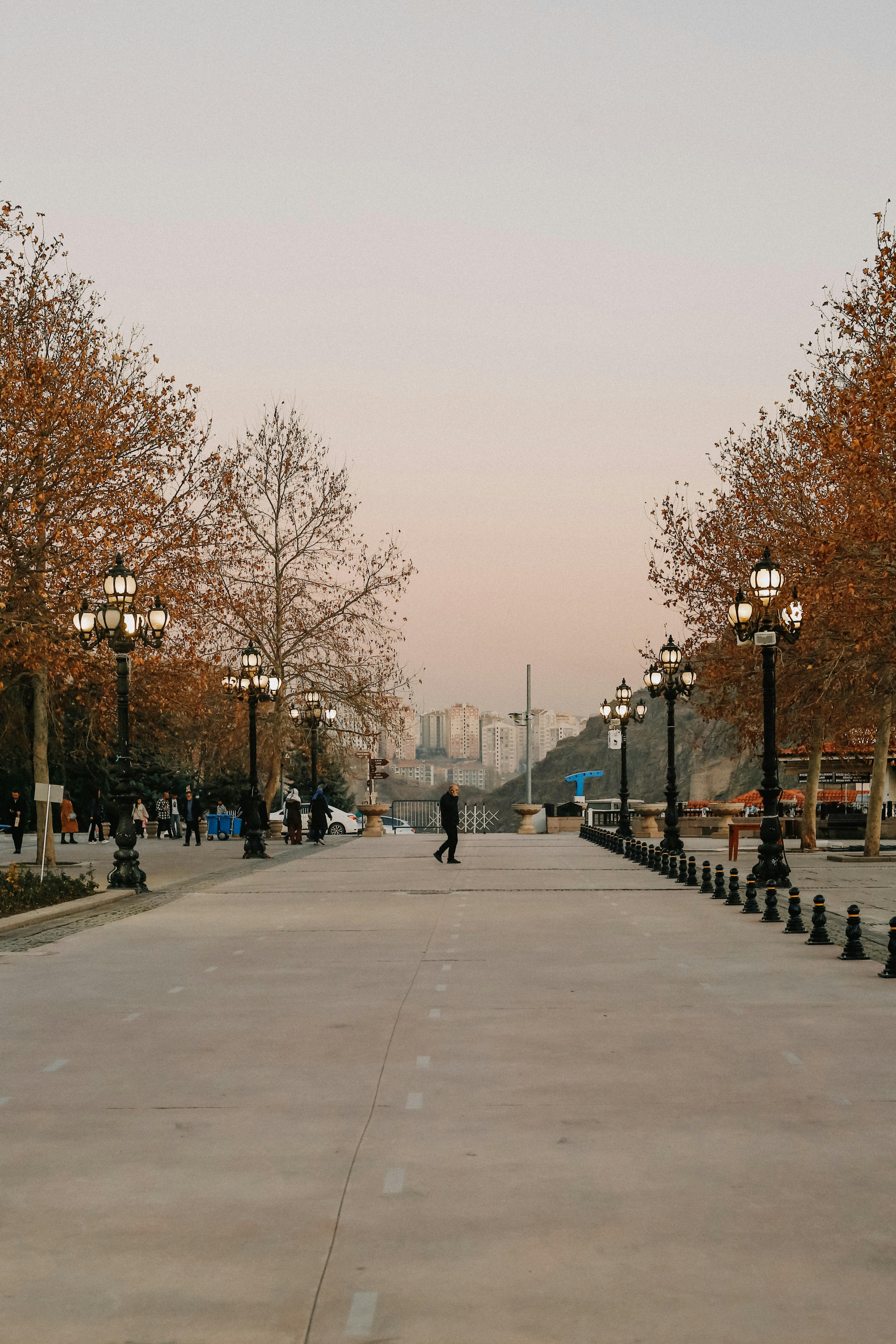 Scenic Autumn Boulevard with Vintage Street Lamps · Free Stock Photo