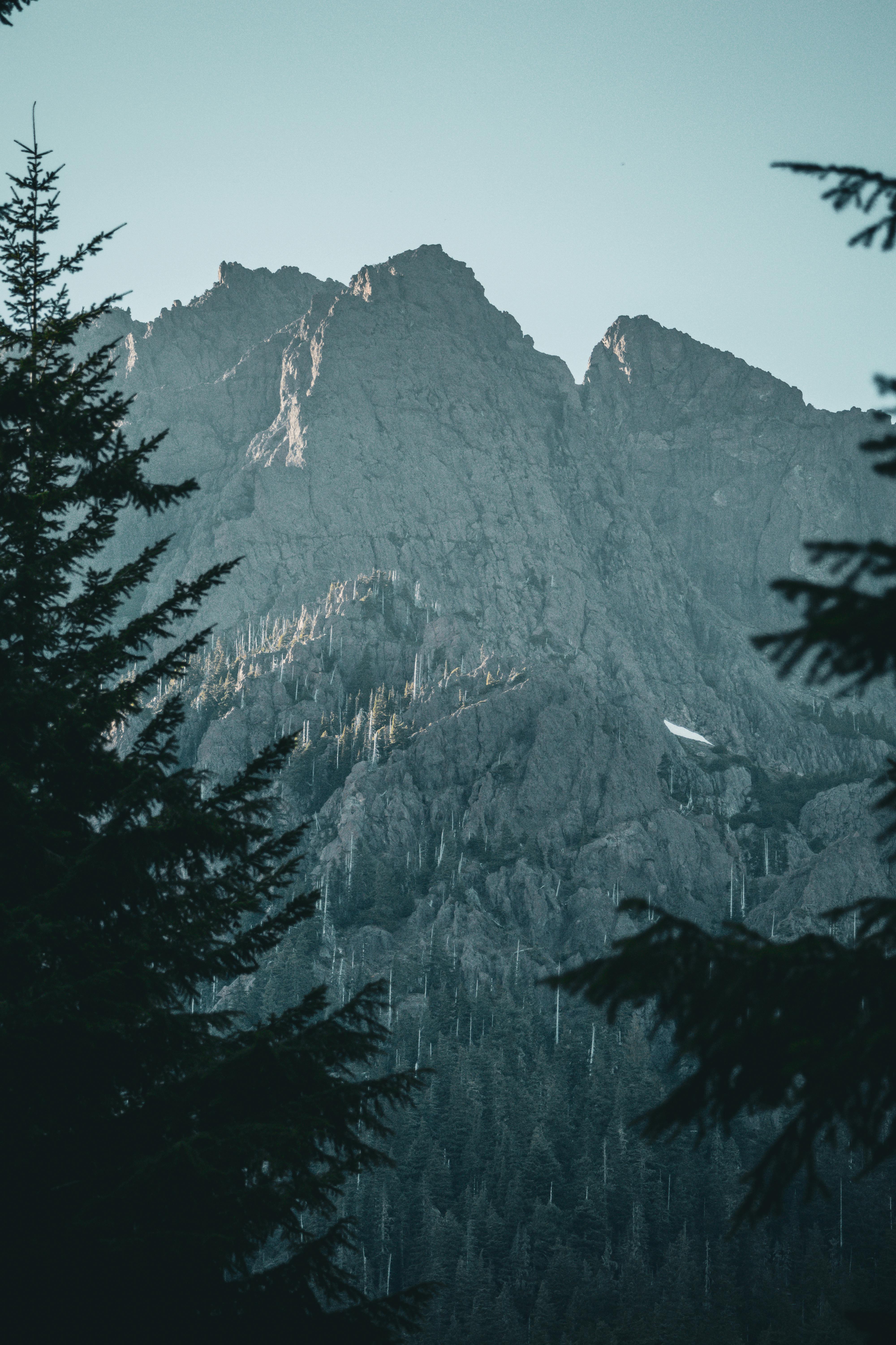 Washington Wallaper Photos, Download The BEST Free Washington Wallaper ...