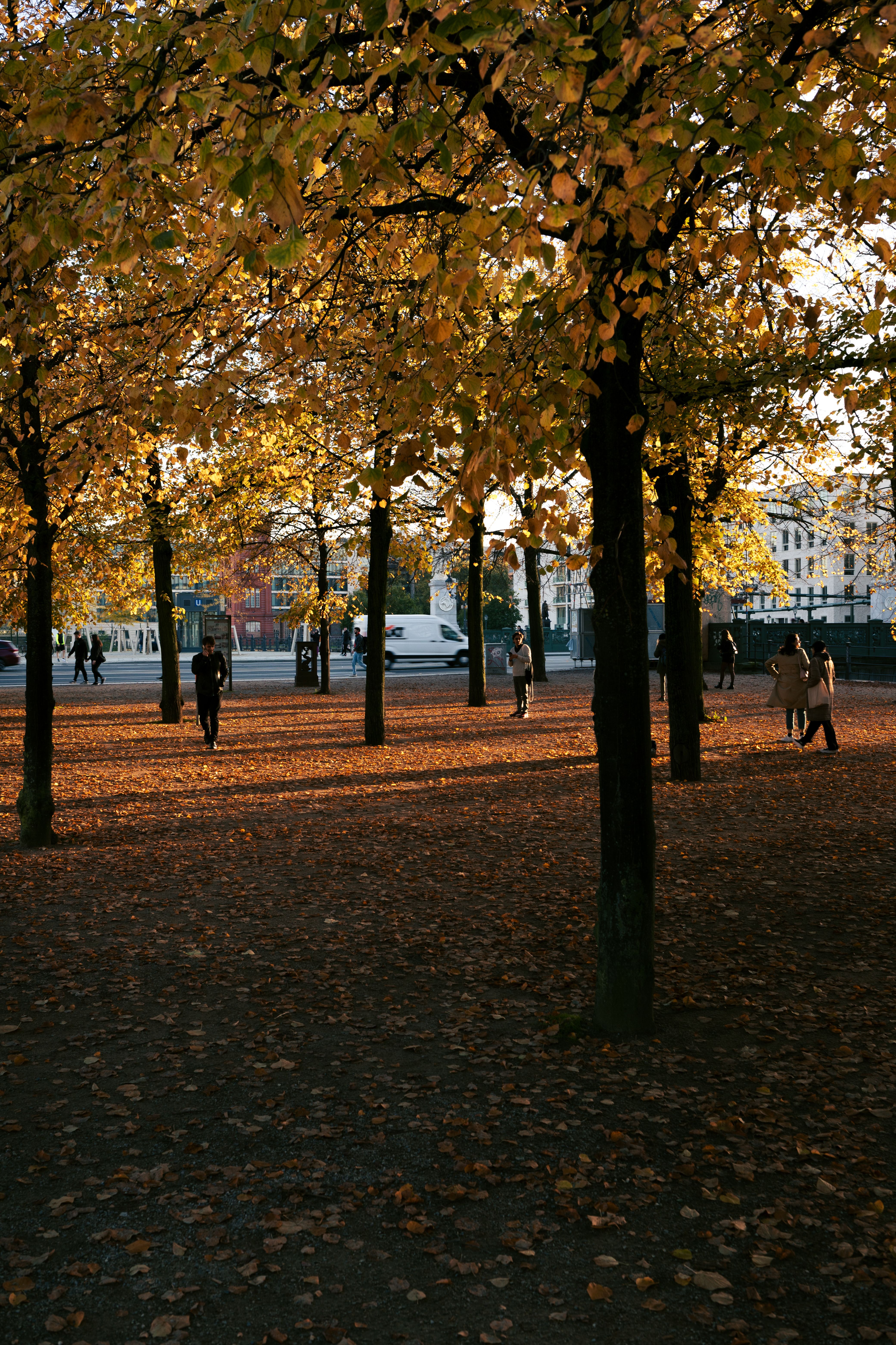Golden Autumn in Berlin Park with People Strolling · Free Stock Photo