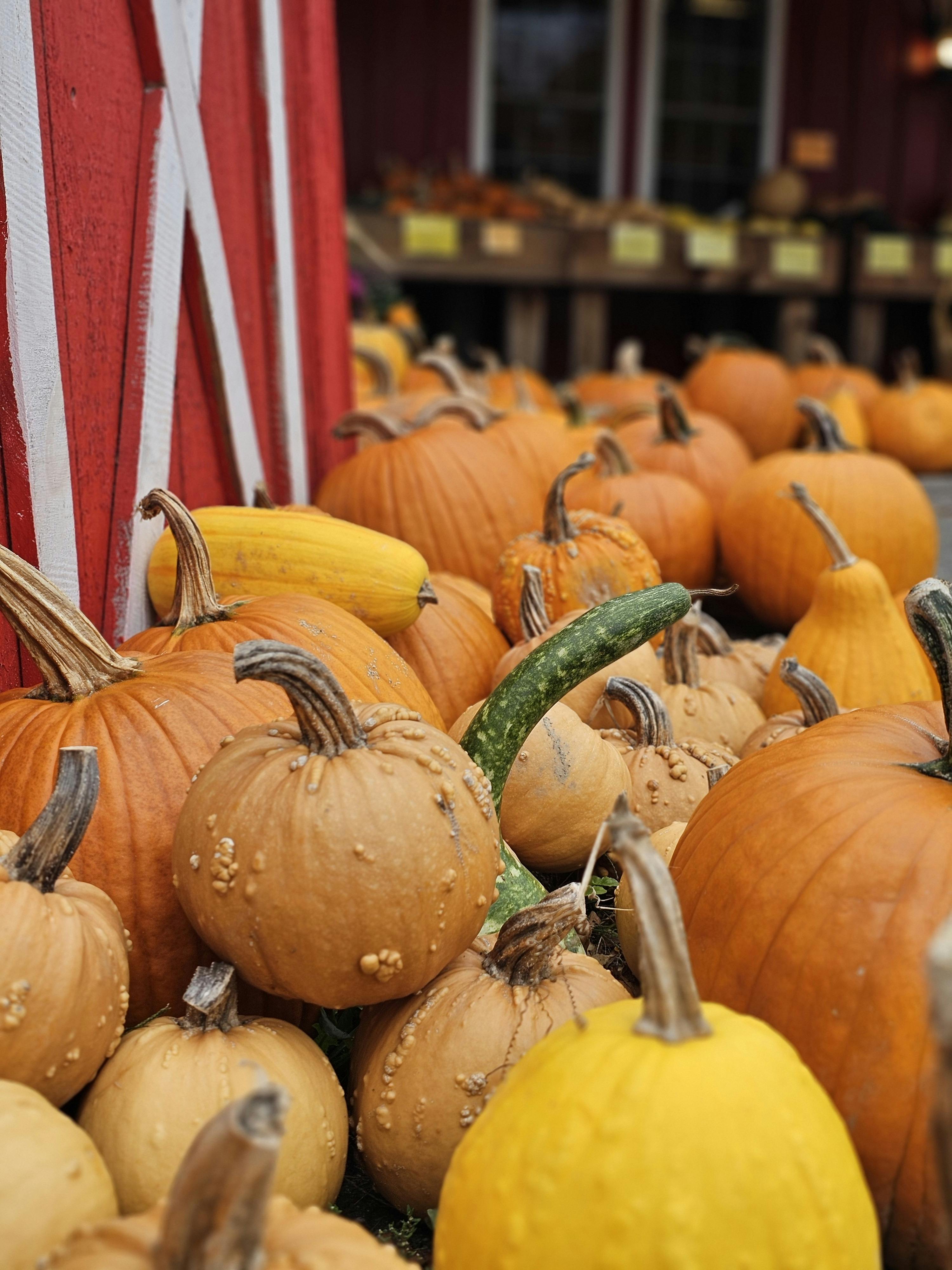 Close-Up Photography of A Pumpkin · Free Stock Photo
