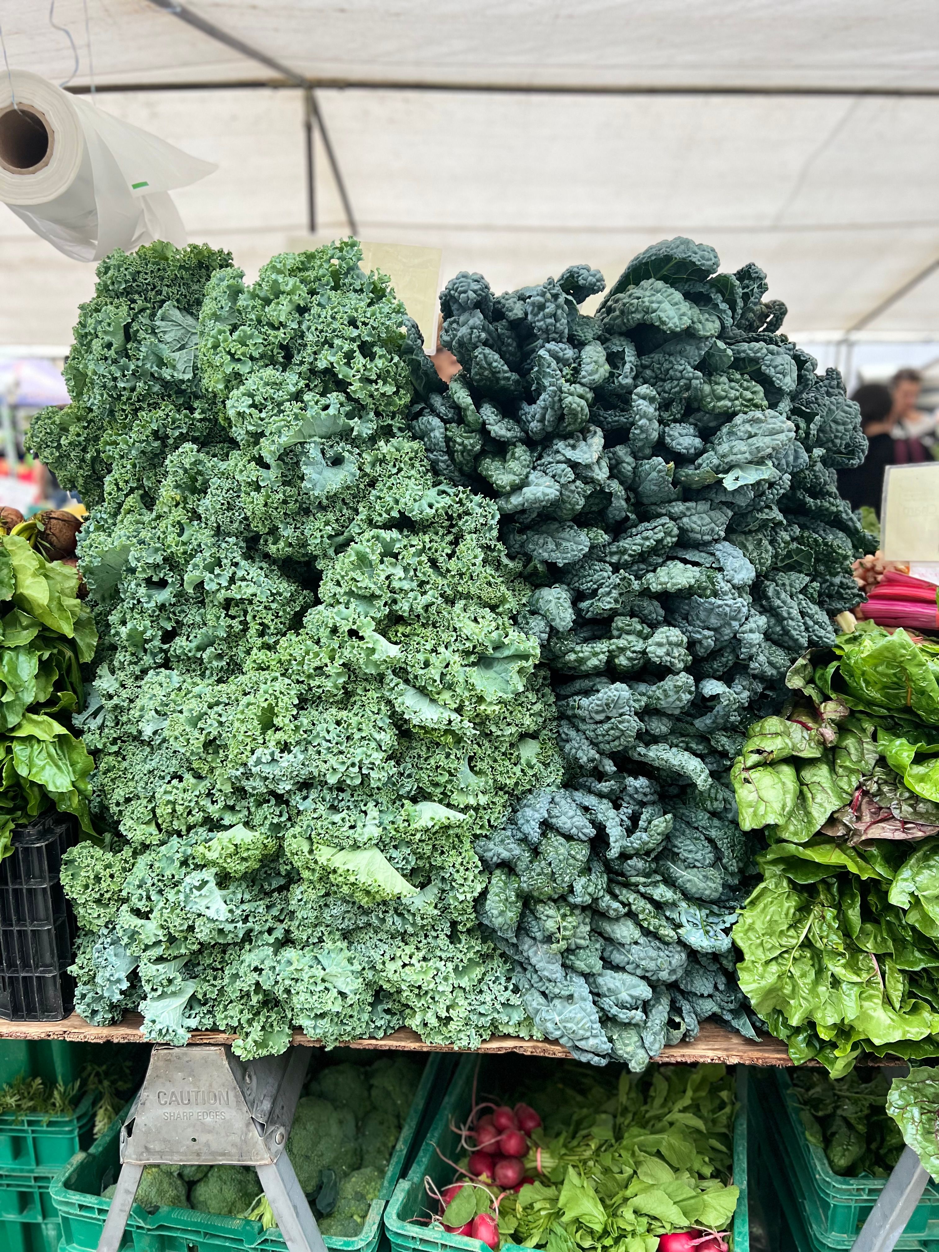 Fresh Kale Display at Farmer's Market · Free Stock Photo