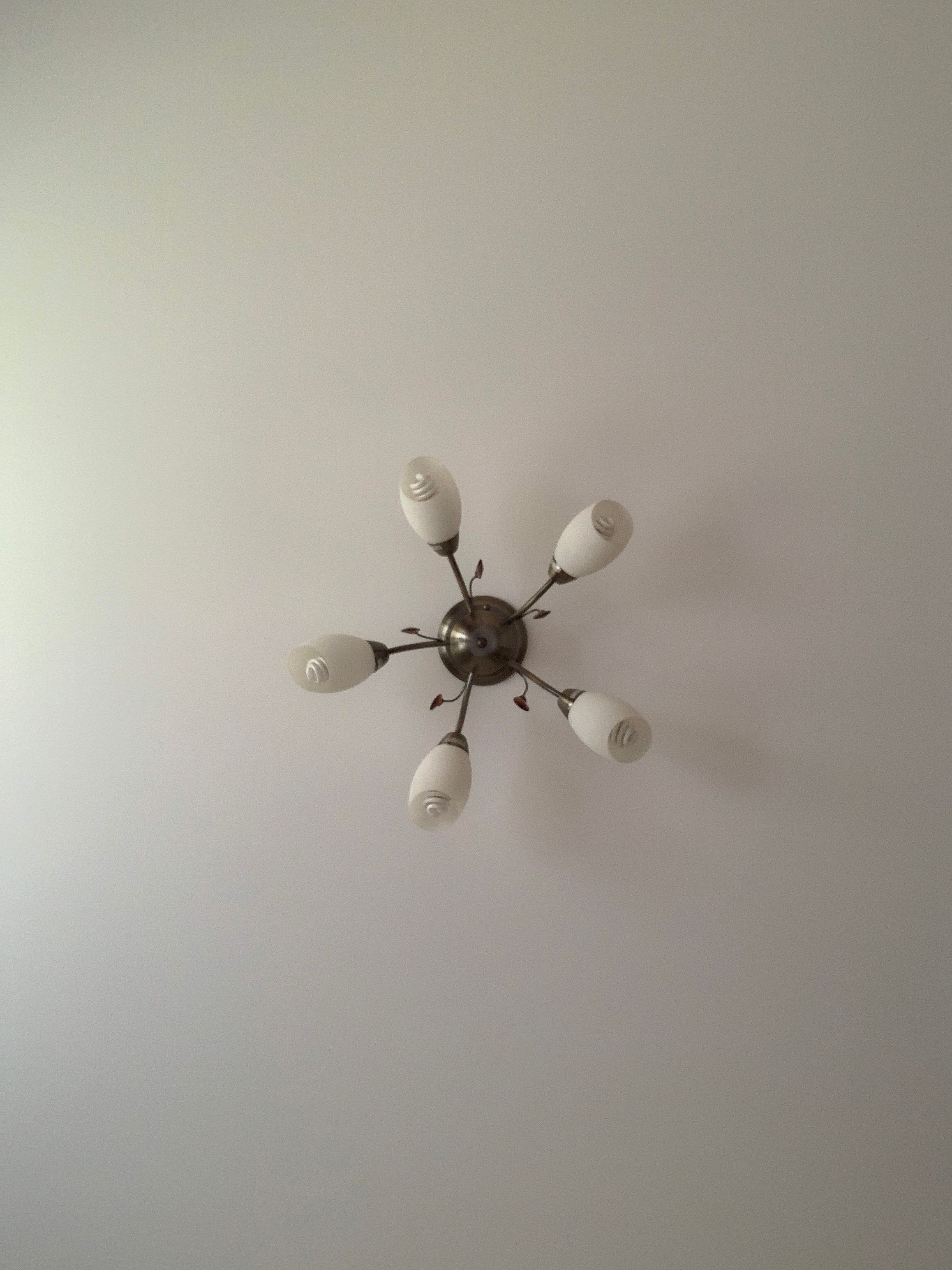 Modern Ceiling Light Fixture with Bulbs · Free Stock Photo