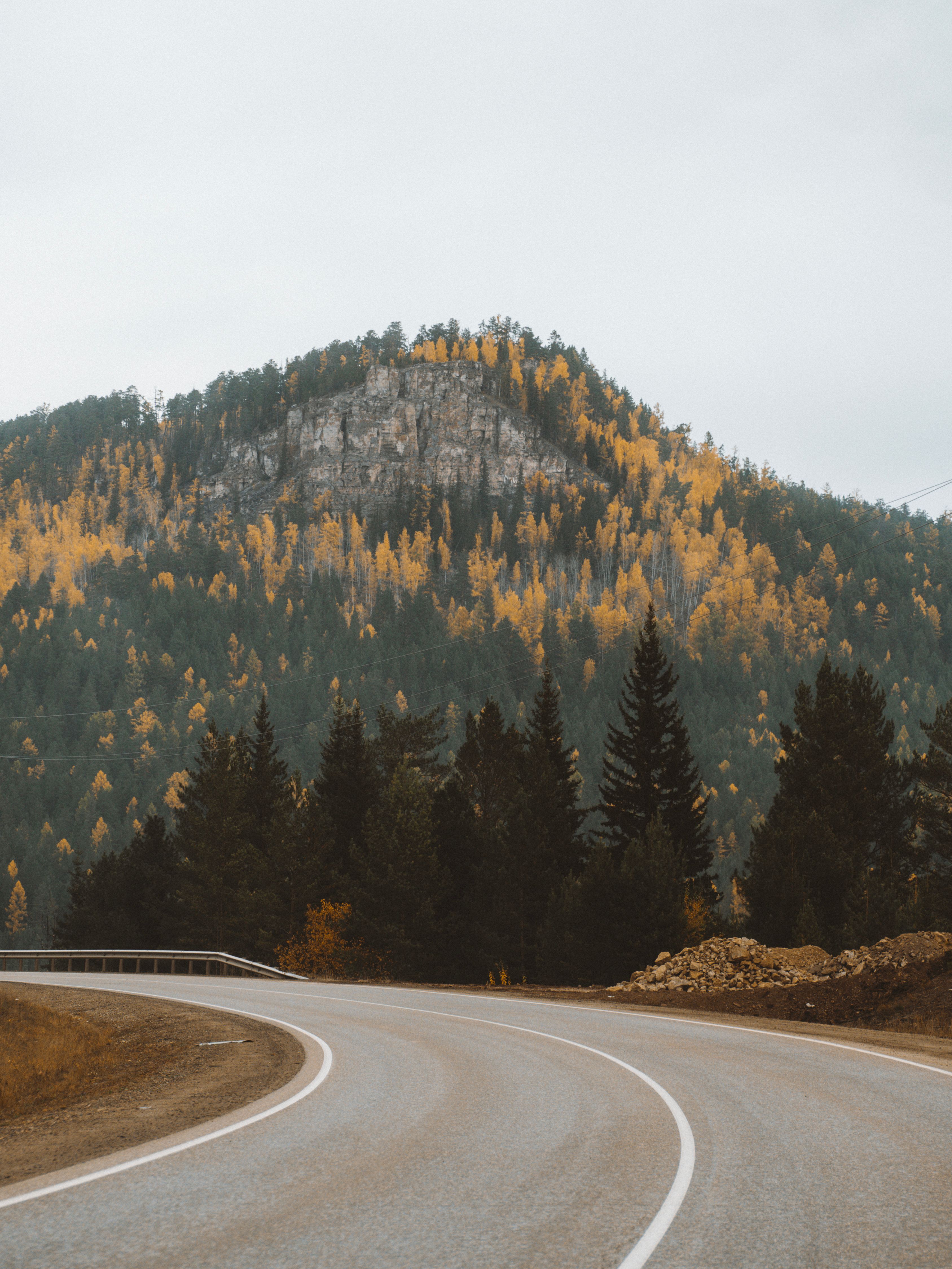 Scenic Autumn Mountain Road in Remote Forest · Free Stock Photo