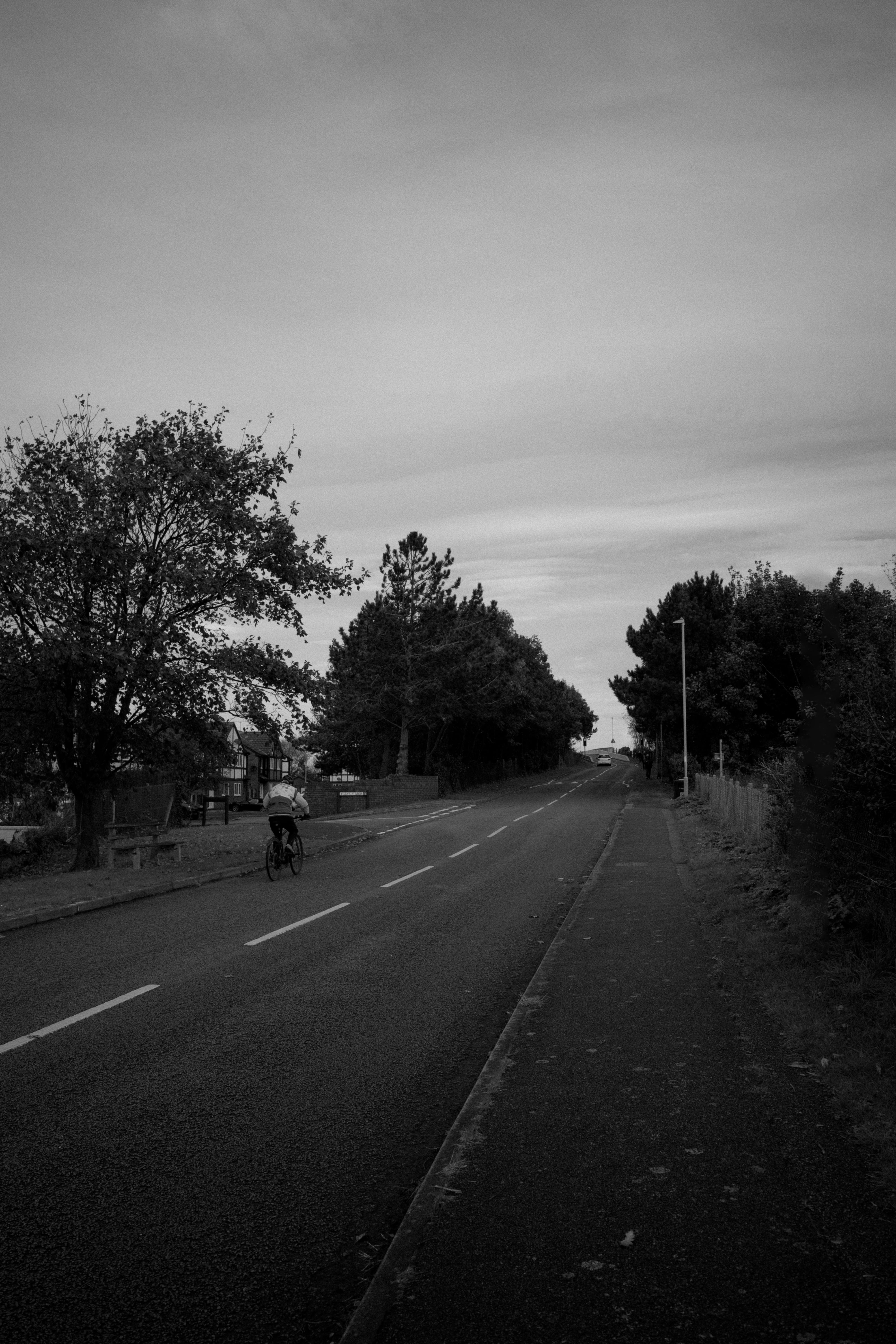 Lonely Cyclist on a Quiet Country Road · Free Stock Photo
