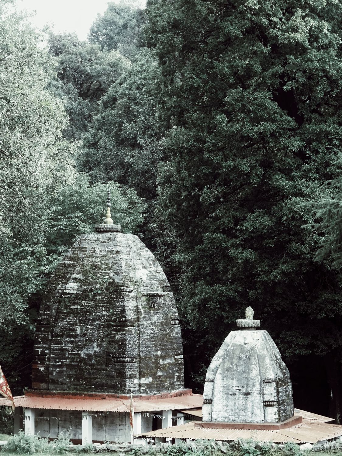 Ancient Stone Temples in Lush Forest Setting · Free Stock Photo