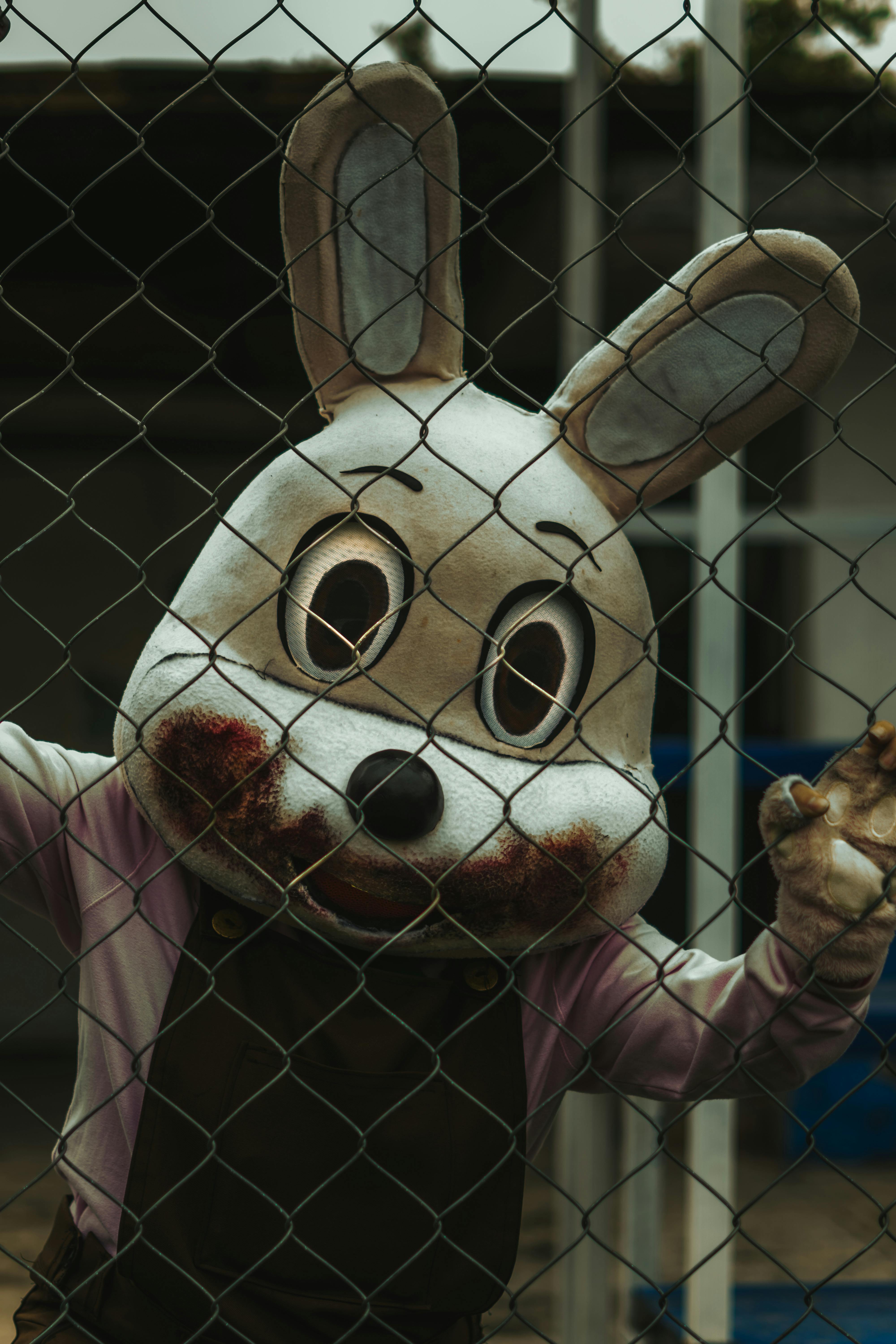 Creepy Rabbit Costume Behind Chainlink Fence · Free Stock Photo
