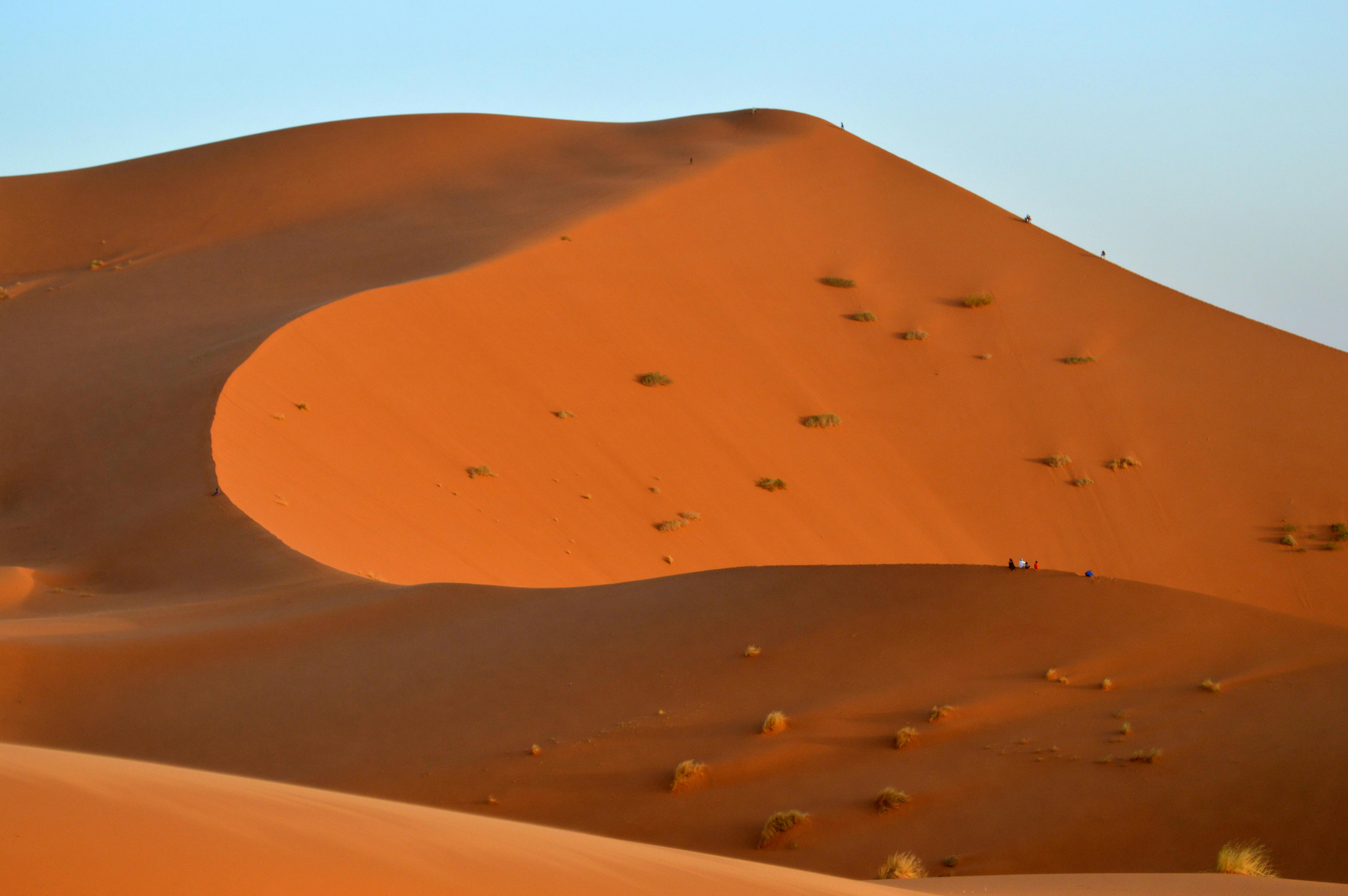 Majestic Sand Dunes at Sunset in Sahara Desert · Free Stock Photo