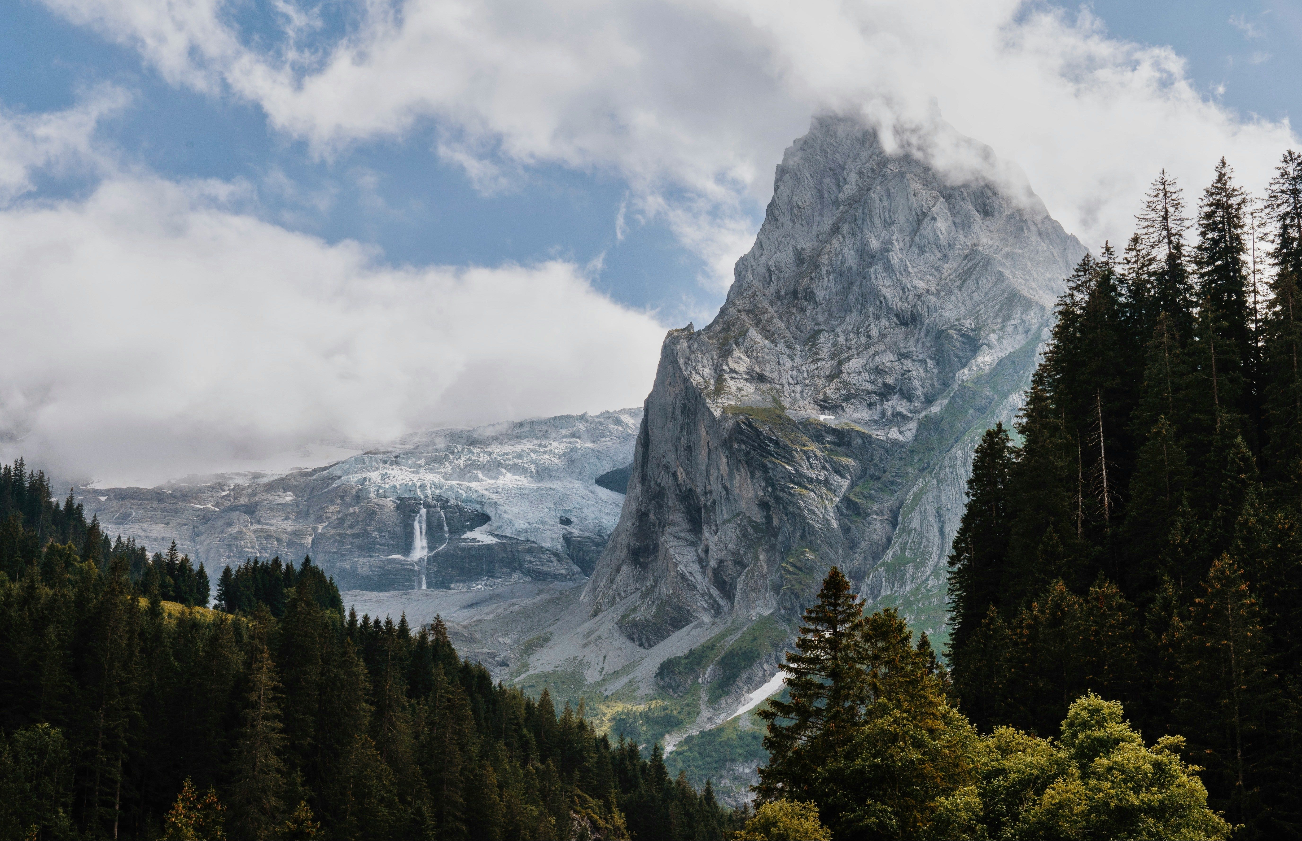 Stunning Alpine Mountain Landscape with Forest View · Free Stock Photo