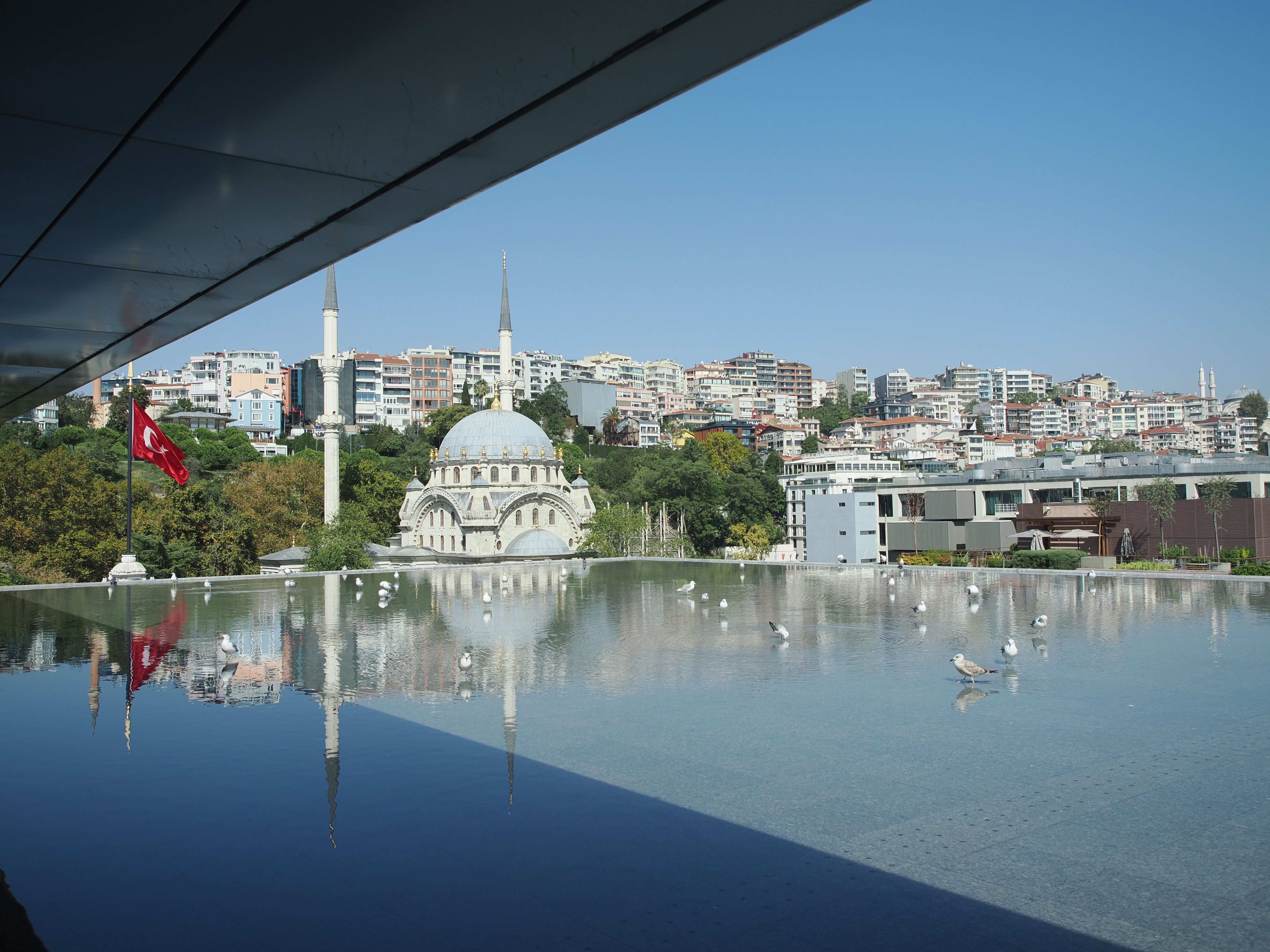 Scenic View of Istanbul Mosque by Reflective Pool · Free Stock Photo