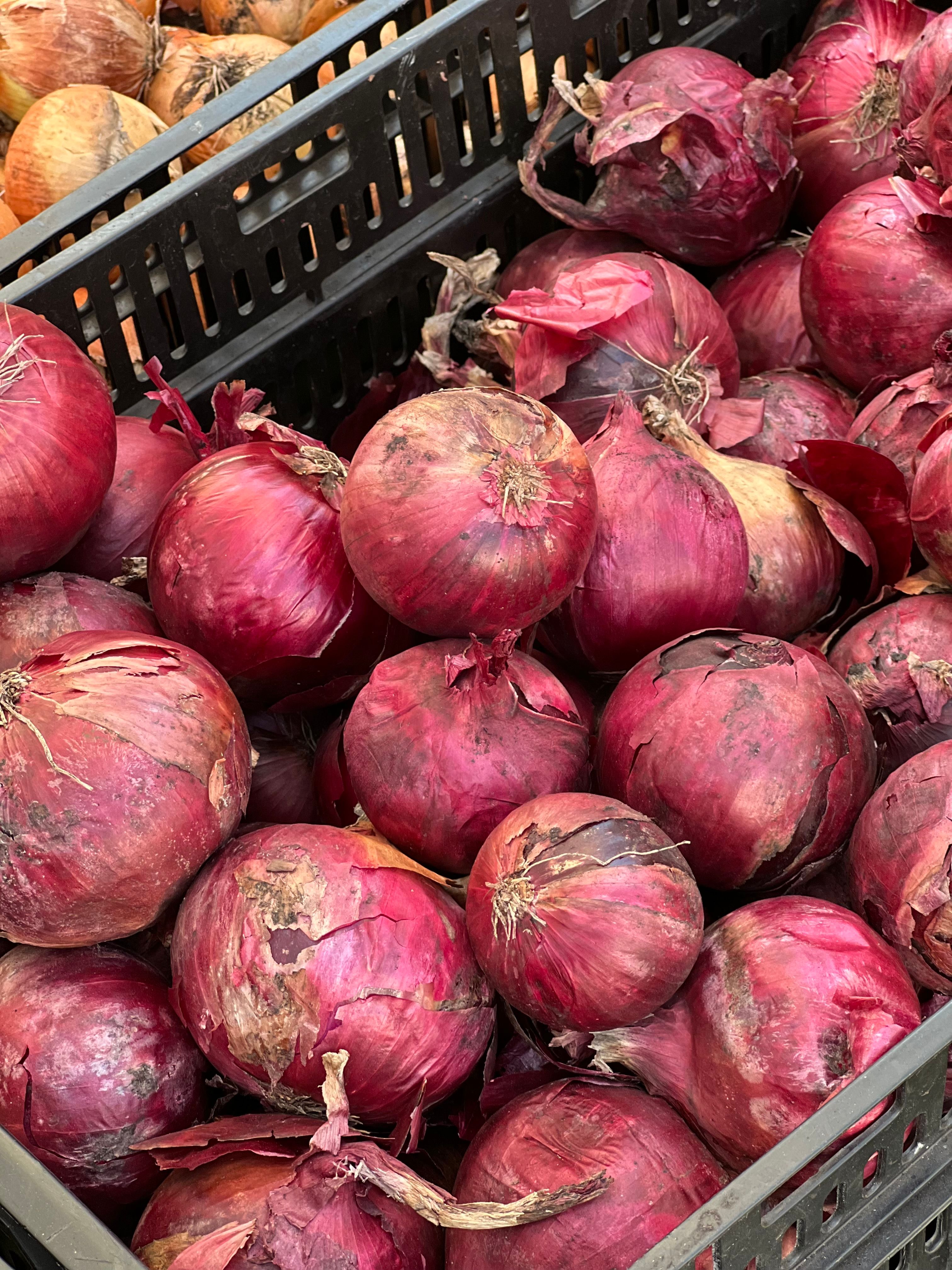 Fresh Red Onions in Market Crate · Free Stock Photo