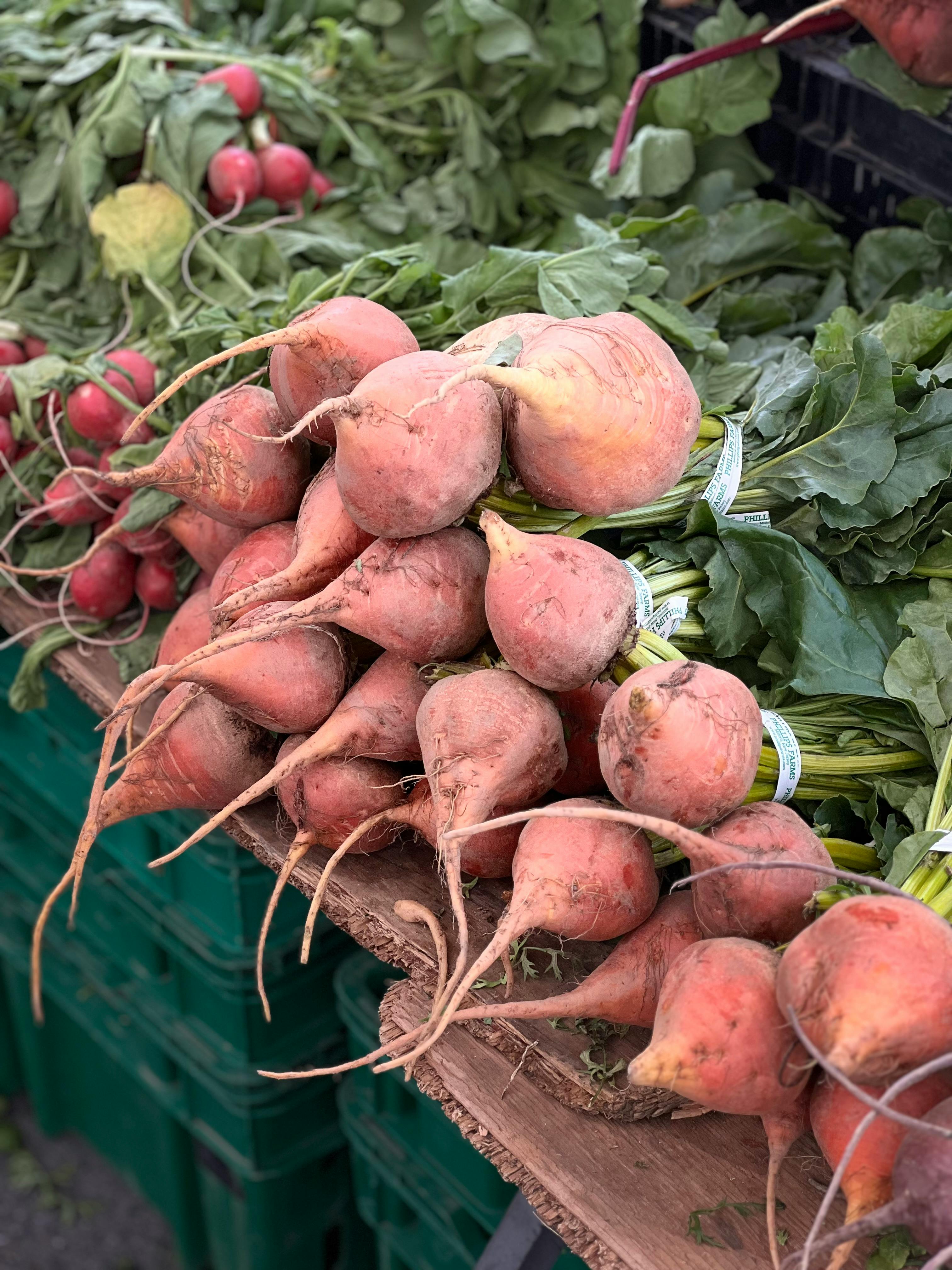 Fresh Beets and Radishes at Farmers Market · Free Stock Photo