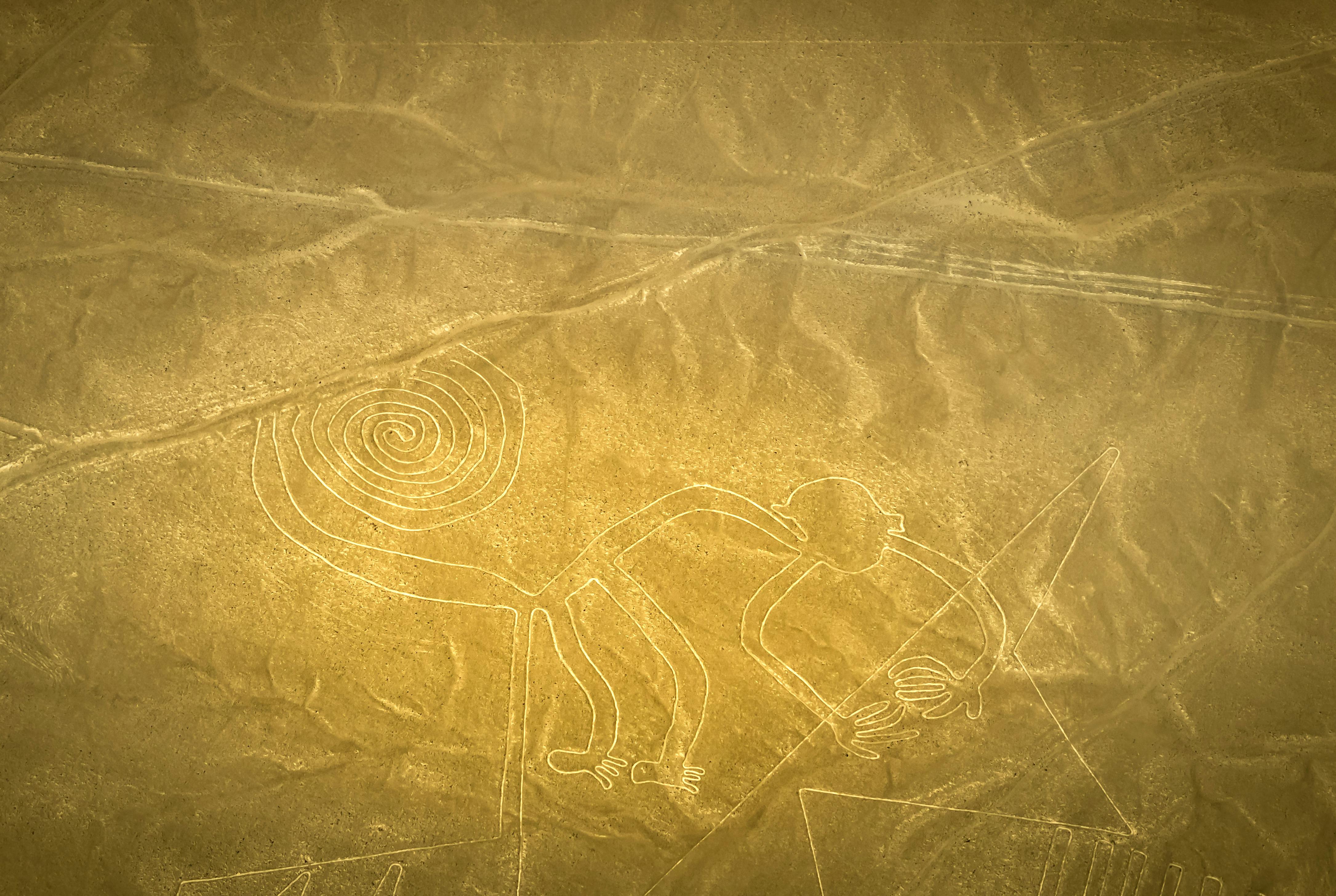 Aerial View of Nazca Lines Monkey Geoglyph · Free Stock Photo