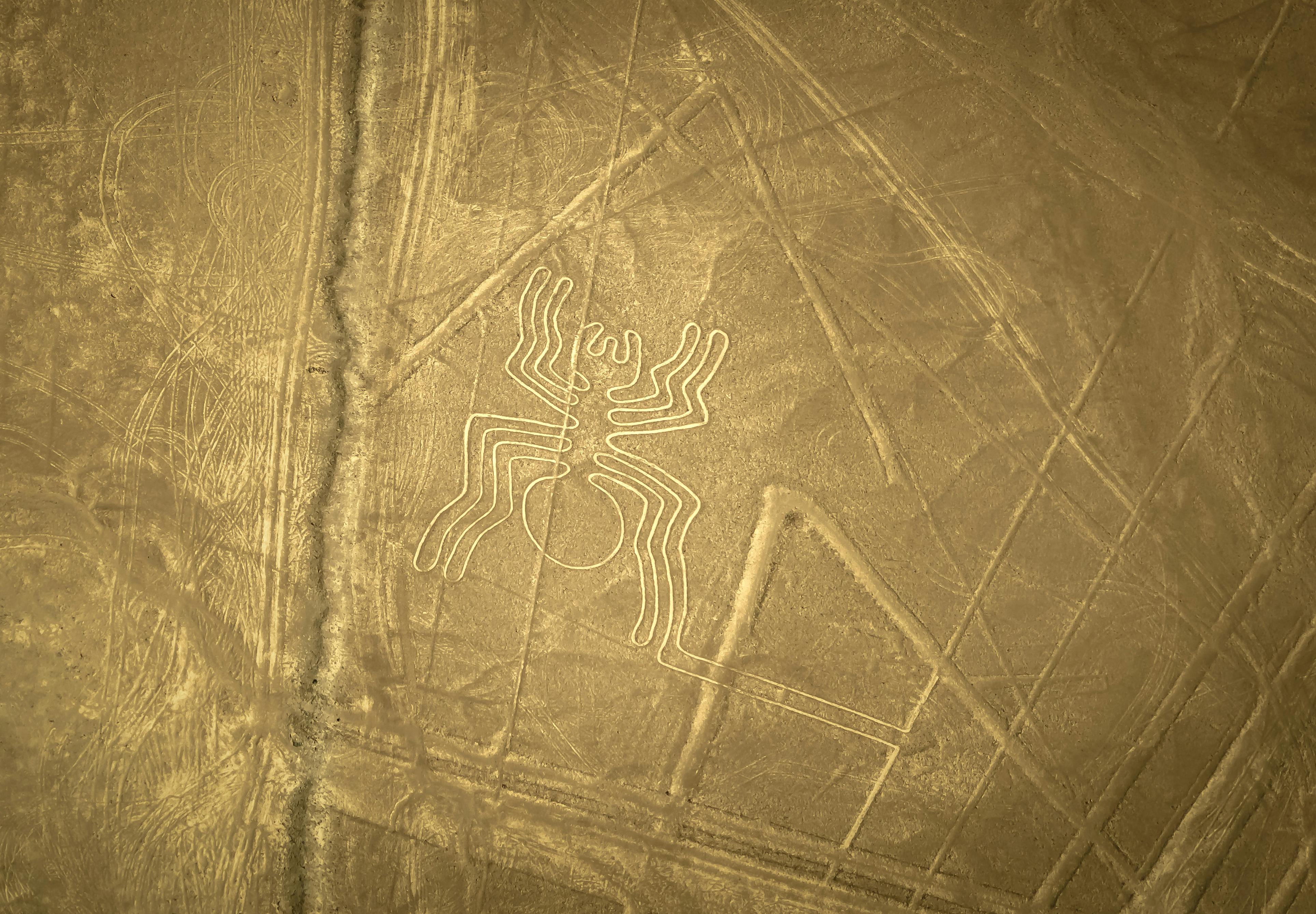 Aerial View of Nazca Lines Spider Geoglyph in Peru · Free Stock Photo