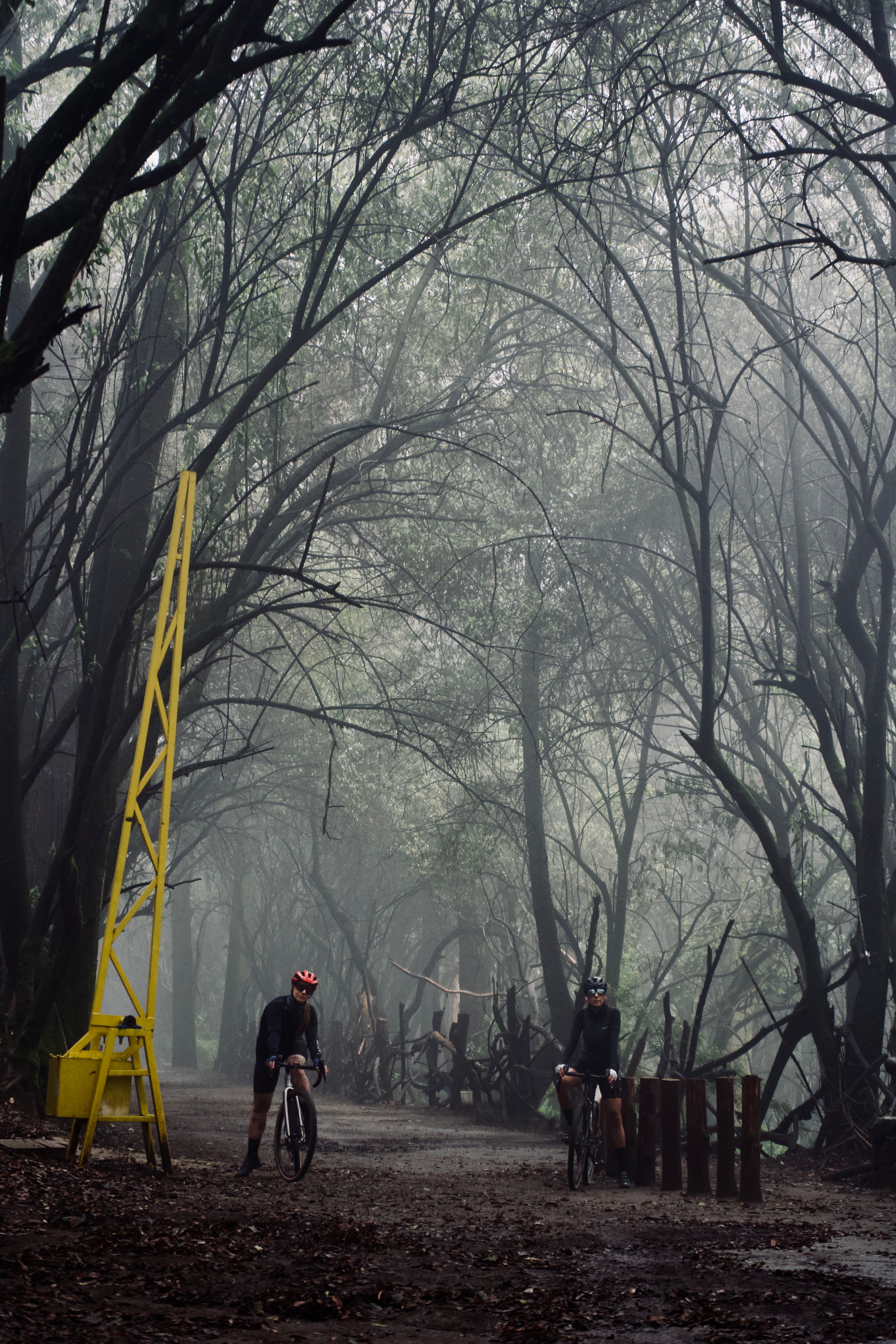 Misty Forest Path with Cyclists in Dense Fog · Free Stock Photo