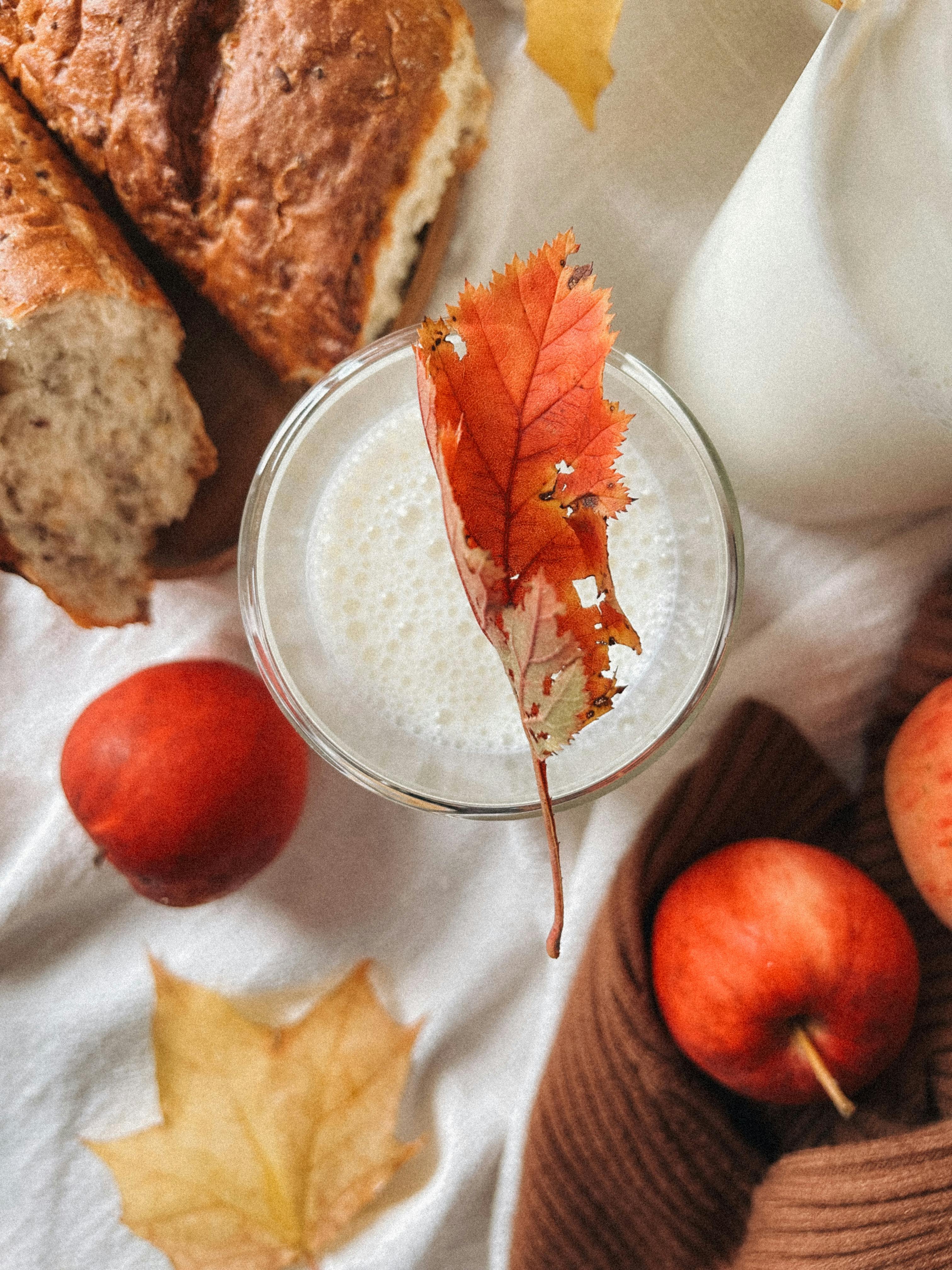 Autumn Breakfast with Milk and Bread · Free Stock Photo