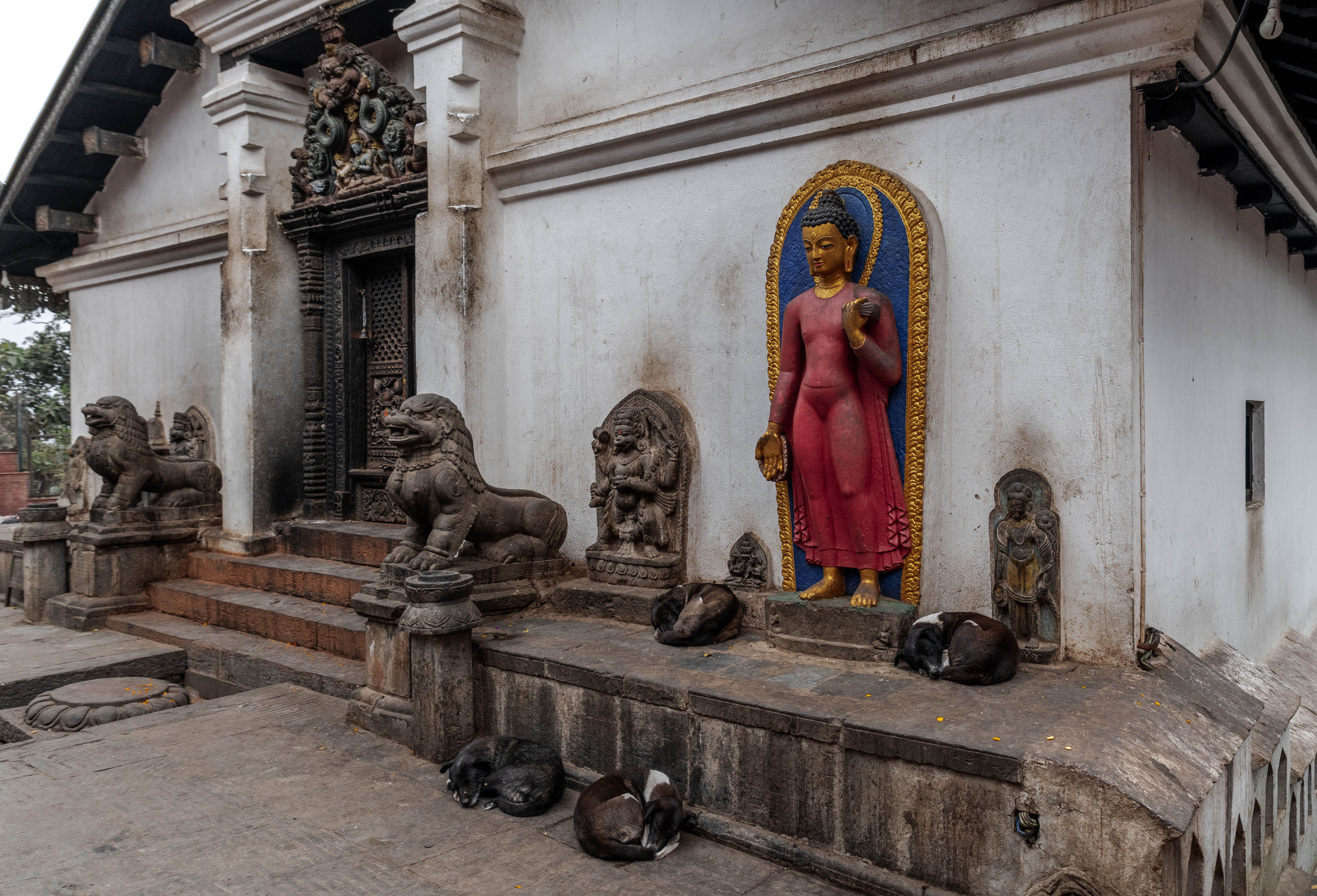 Ancient Buddhist Temple with Dog Statues · Free Stock Photo