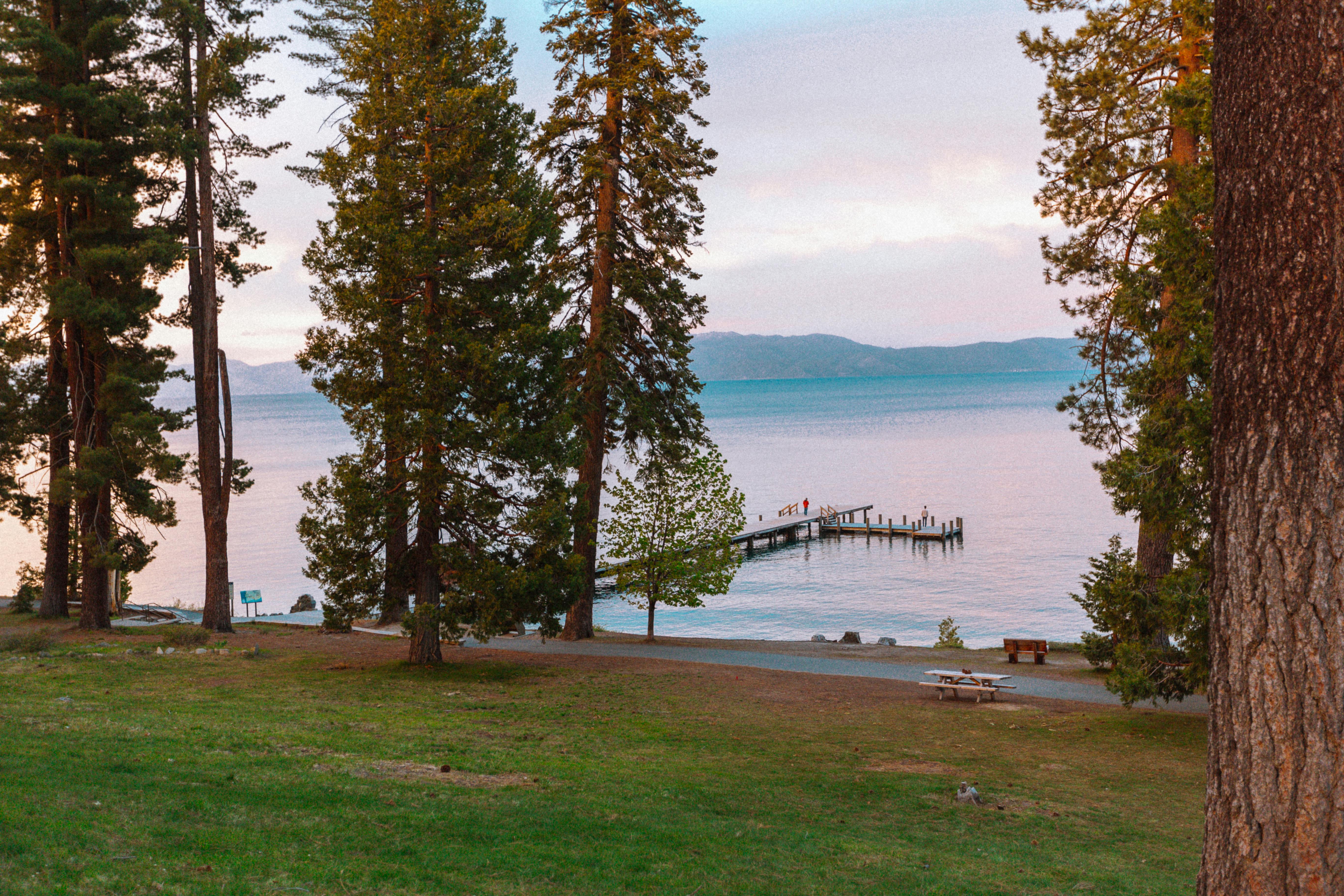Scenic Lake View with Pier and Tall Trees at Sunset · Free Stock Photo