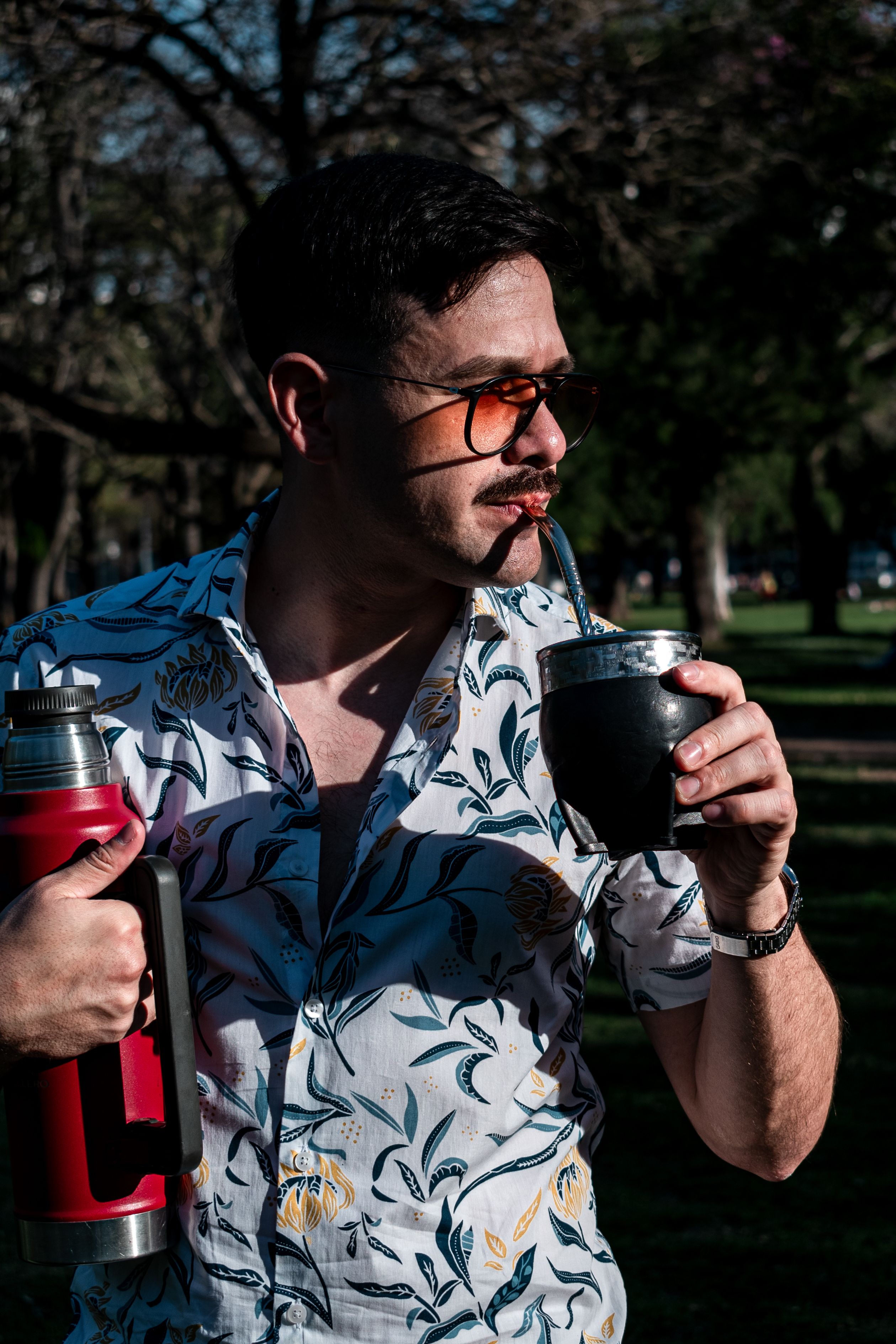 Man Enjoying Mate in a Sunny Park · Free Stock Photo