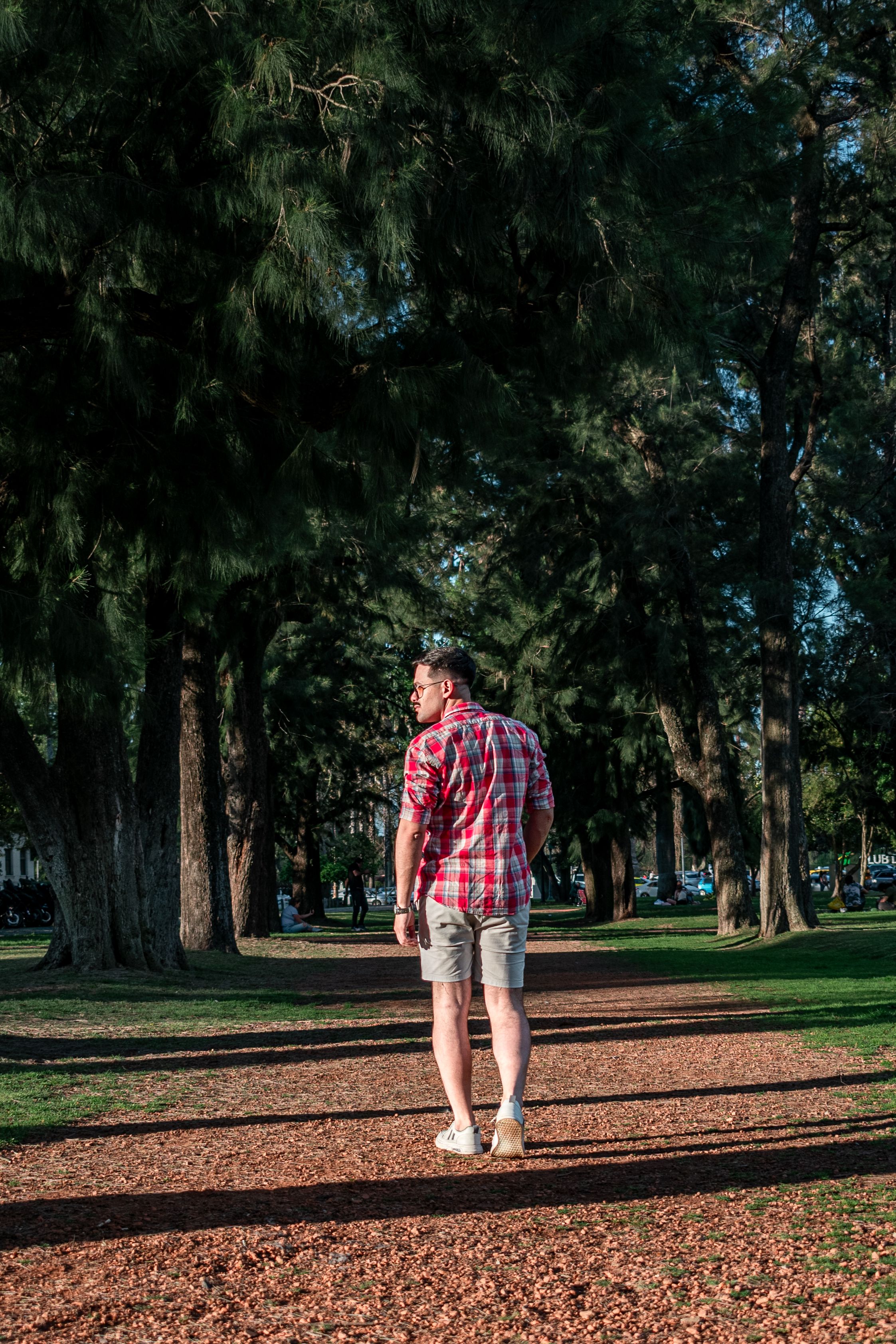Man Walking Through Park on Sunny Day · Free Stock Photo