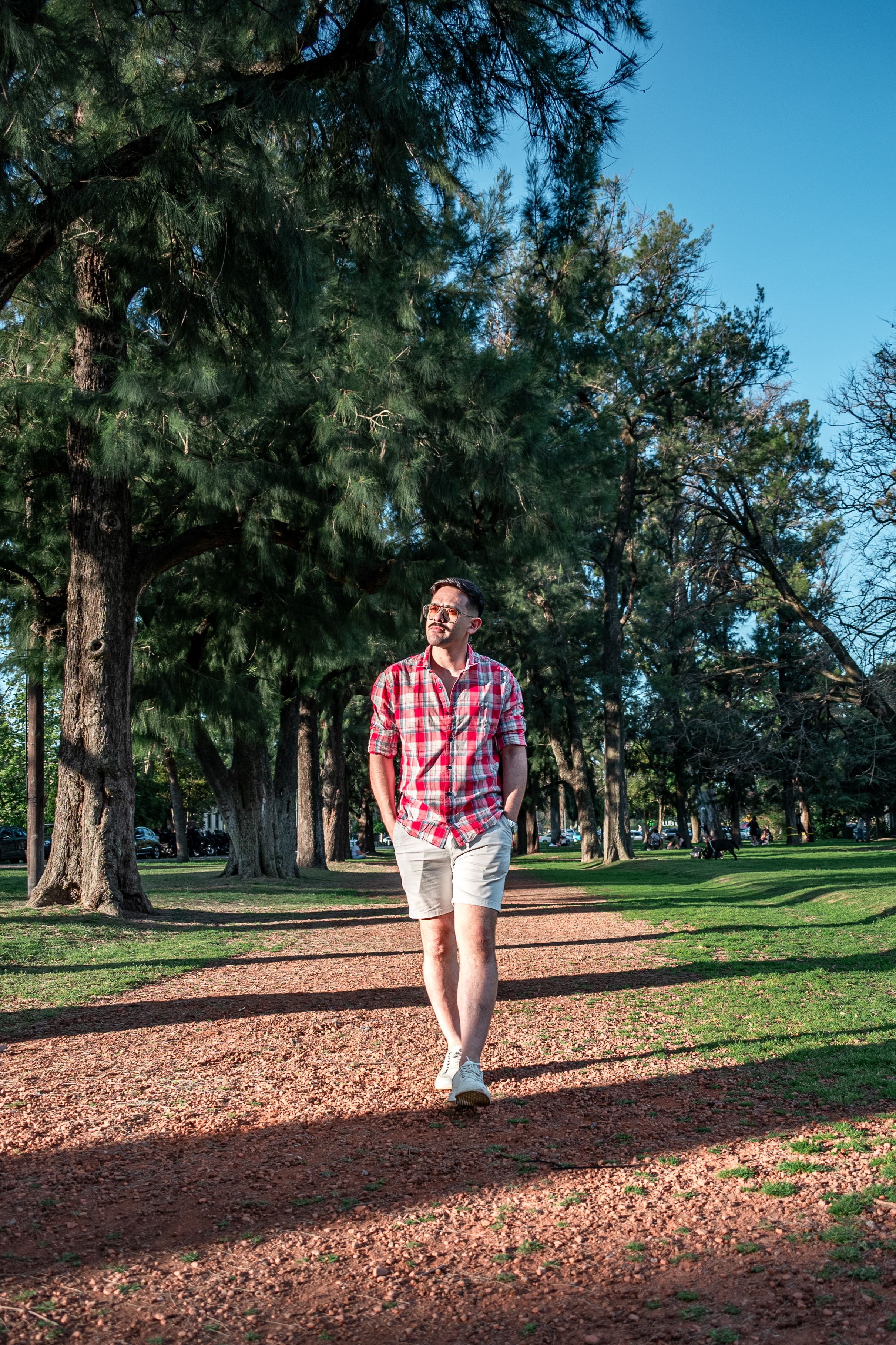 Paseo Relajado En Un Entorno De Parque Soleado · Foto de stock gratuita