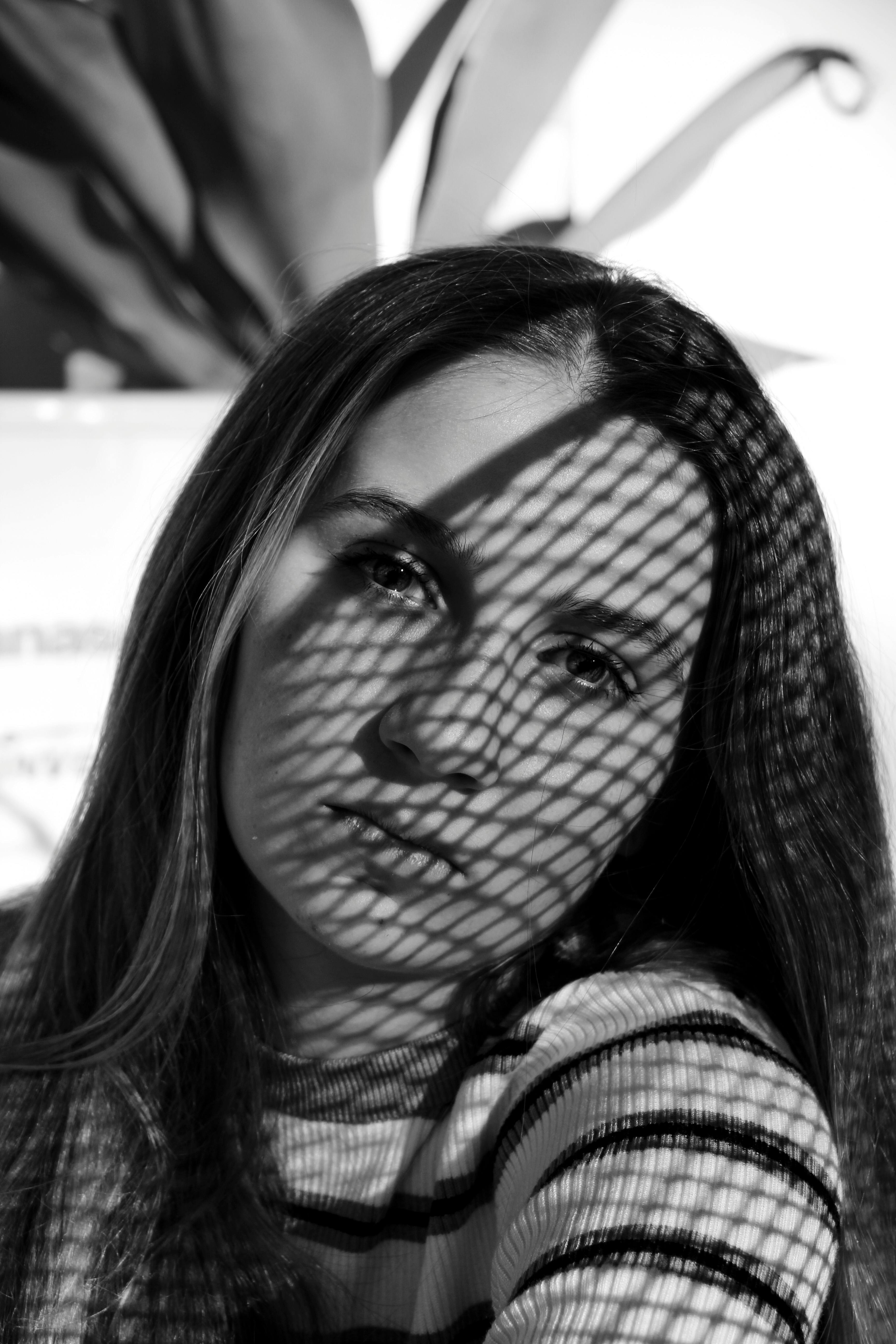 Mesh Shadows Photos, Download The BEST Free Mesh Shadows Stock Photos ...