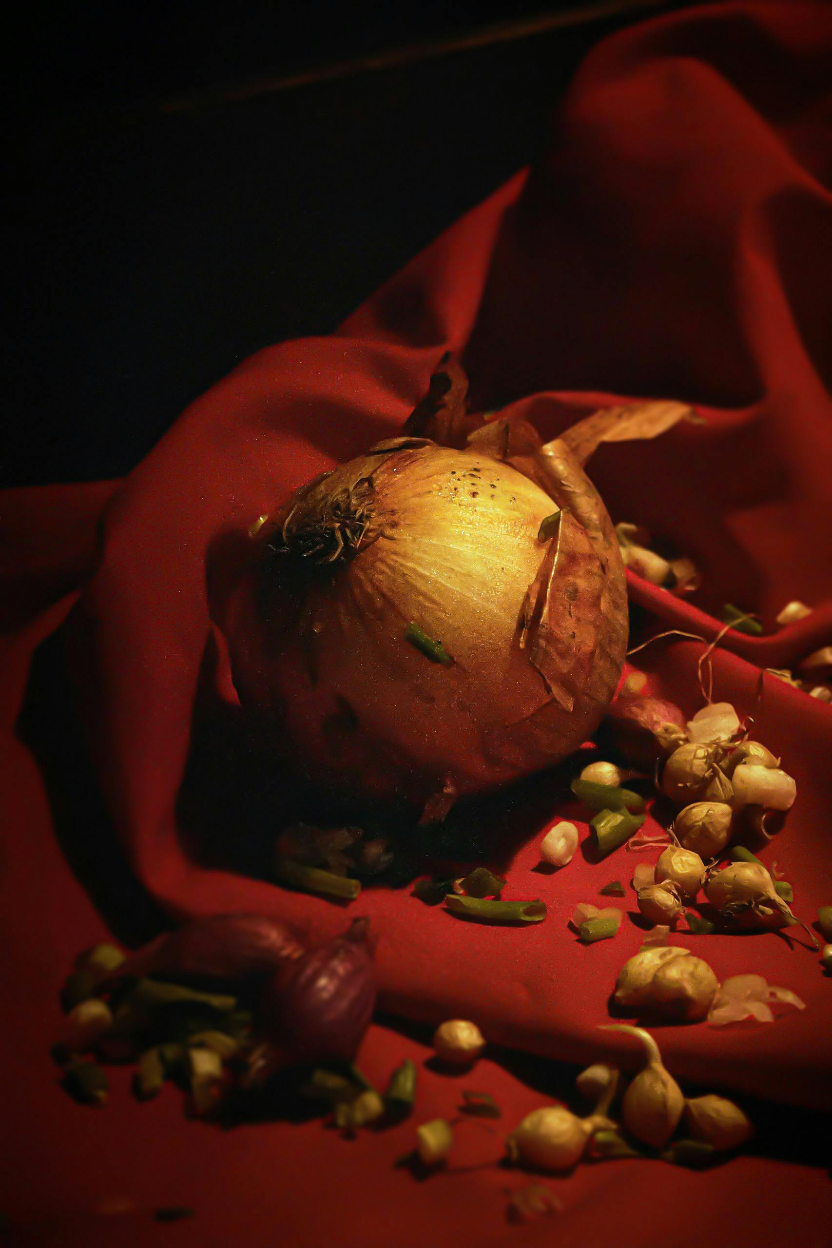 Dramatic Still Life of Onion with Scallions · Free Stock Photo