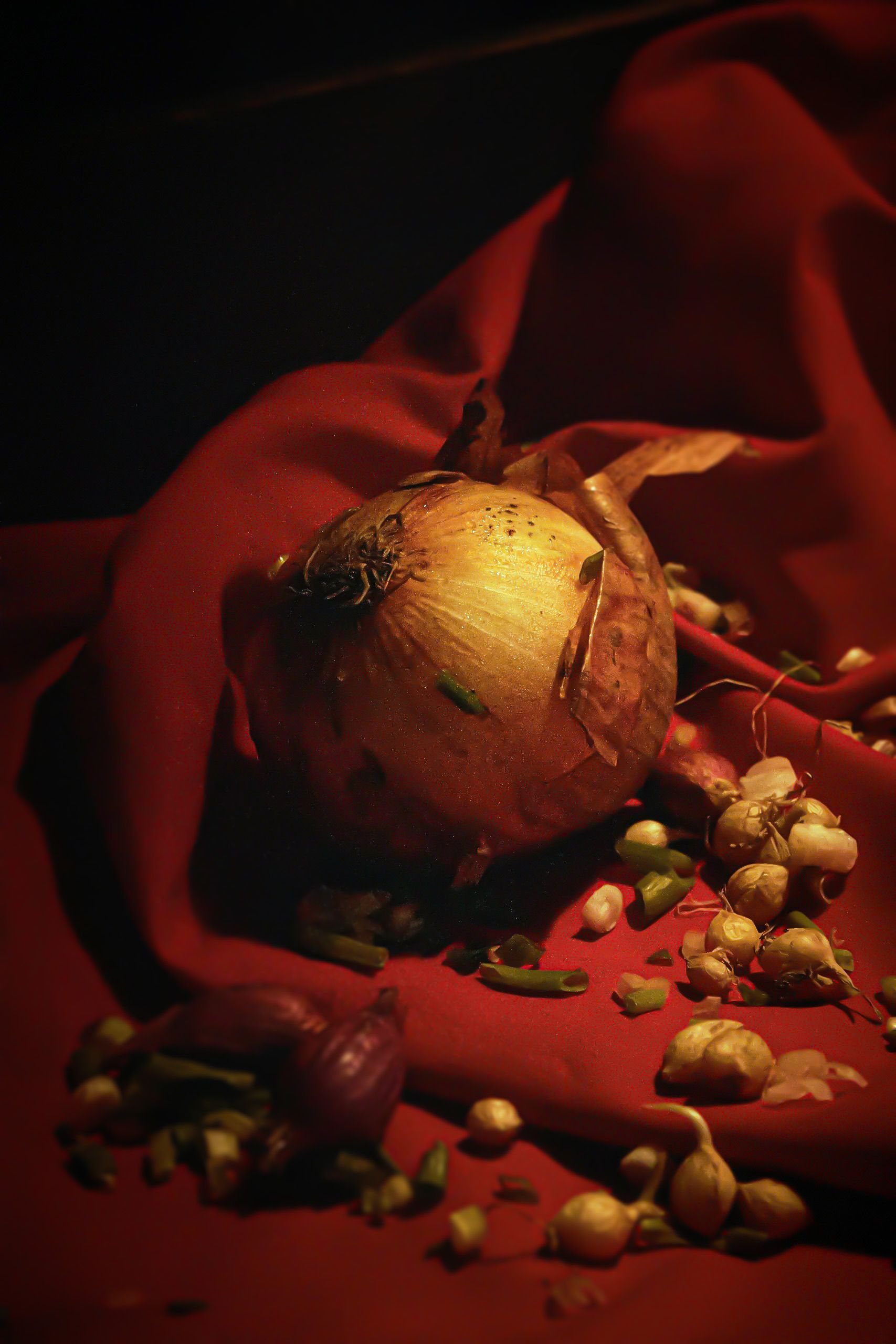 Dramatic Still Life of Onion with Scallions · Free Stock Photo