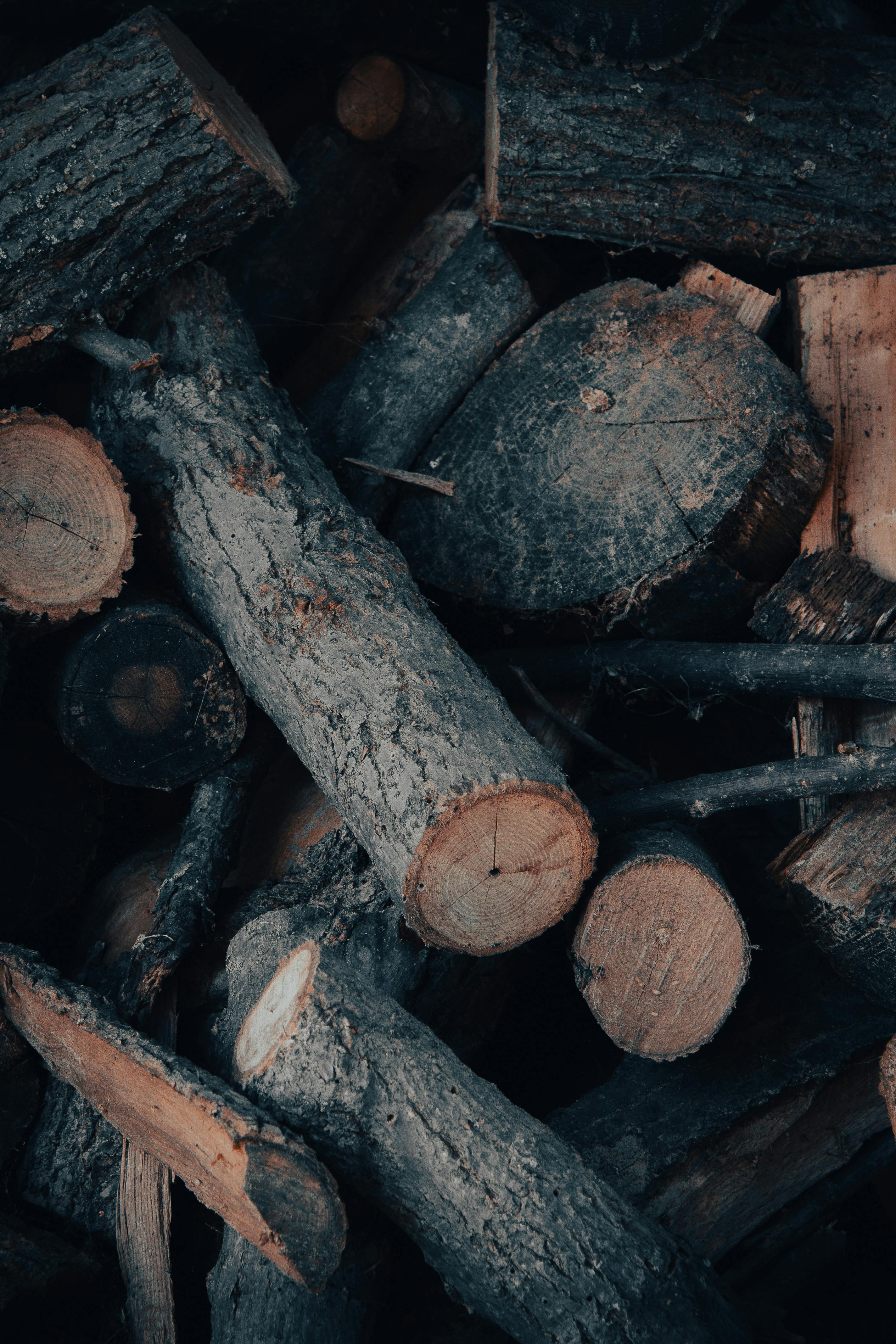 Grayscale Photo of Wood Logs · Free Stock Photo