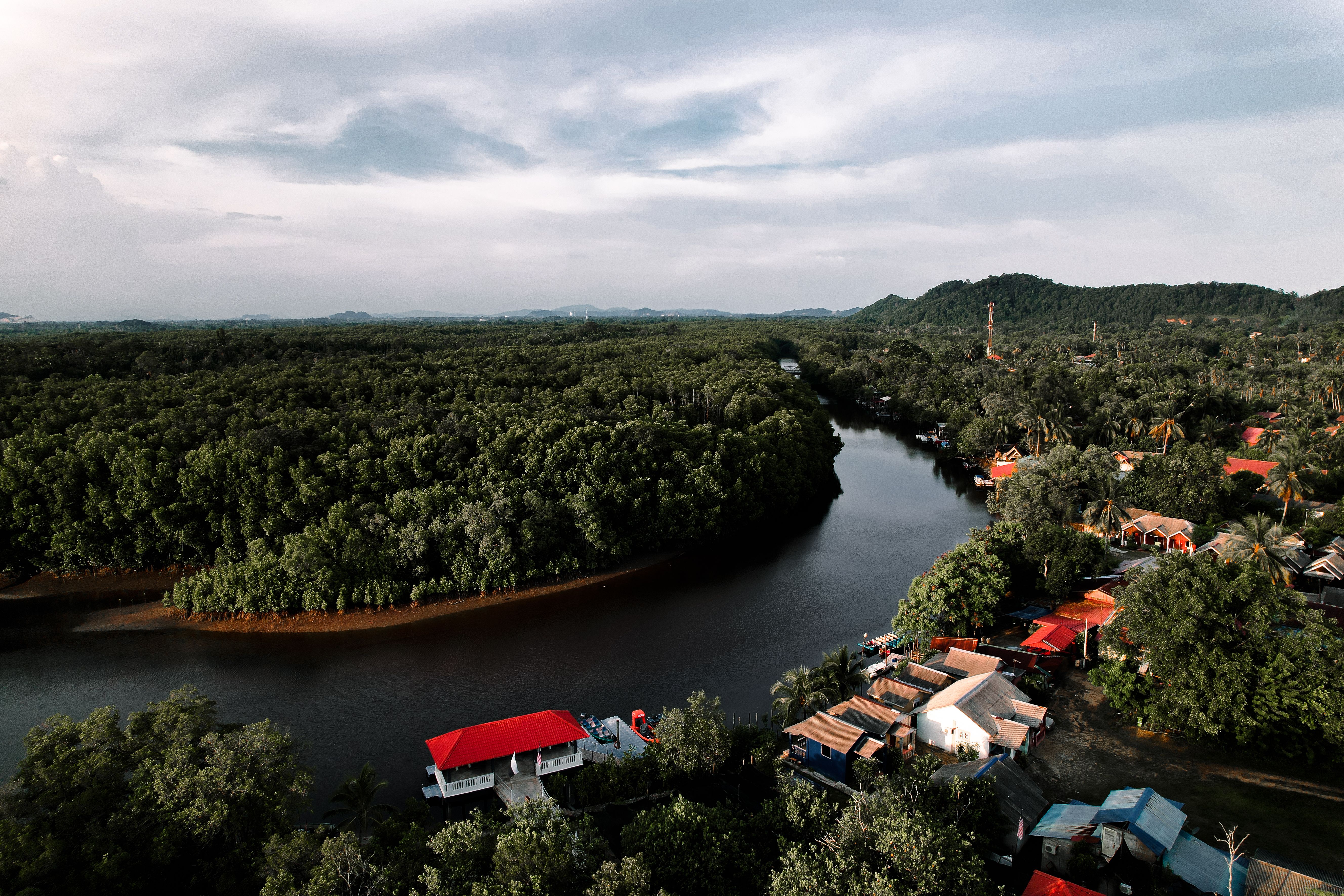 Aerial View of River Bend and Surrounding Forest · Free Stock Photo