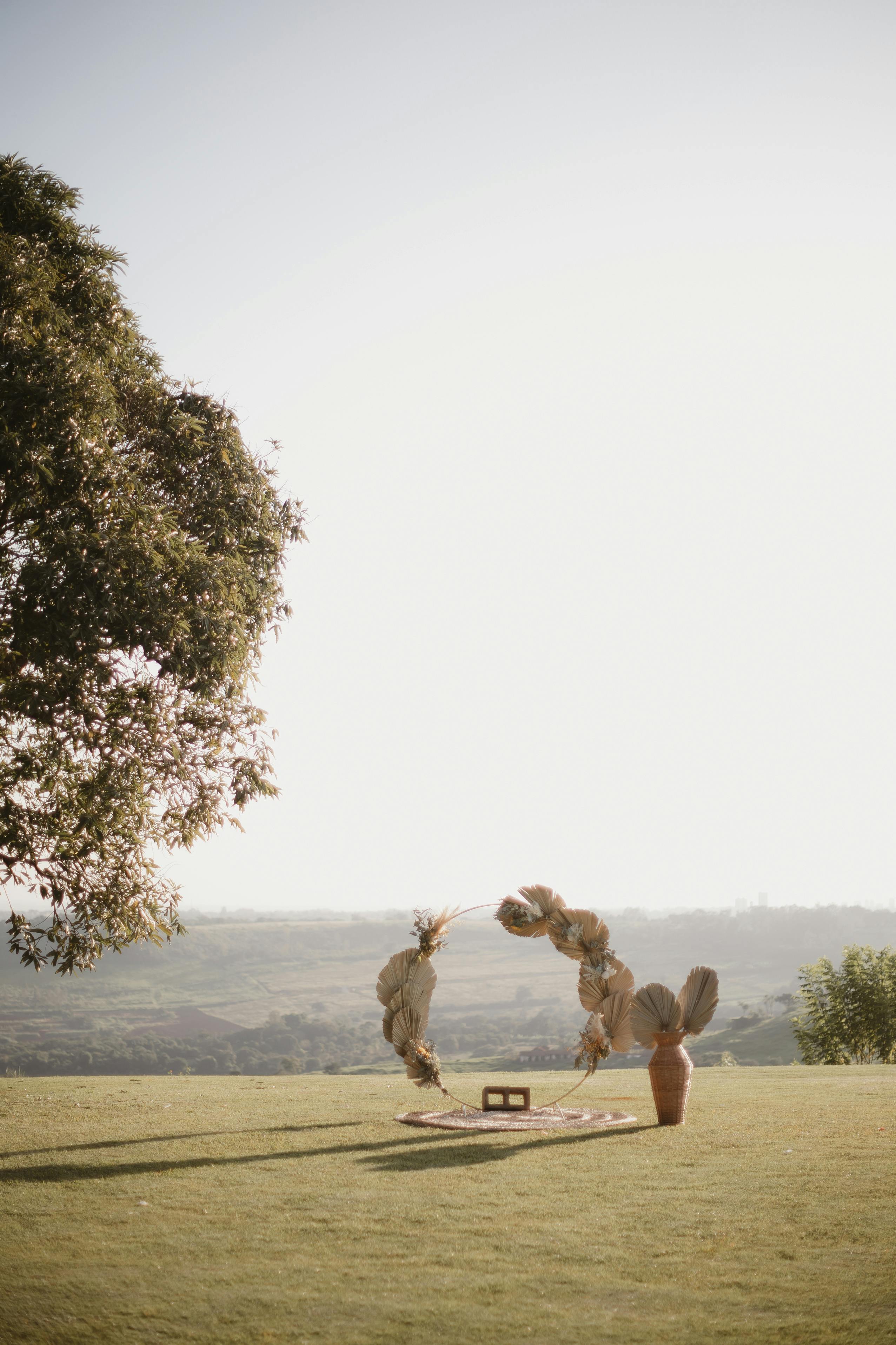Scenic Outdoor Wedding Ceremony Setup on Sunny Day · Free Stock Photo