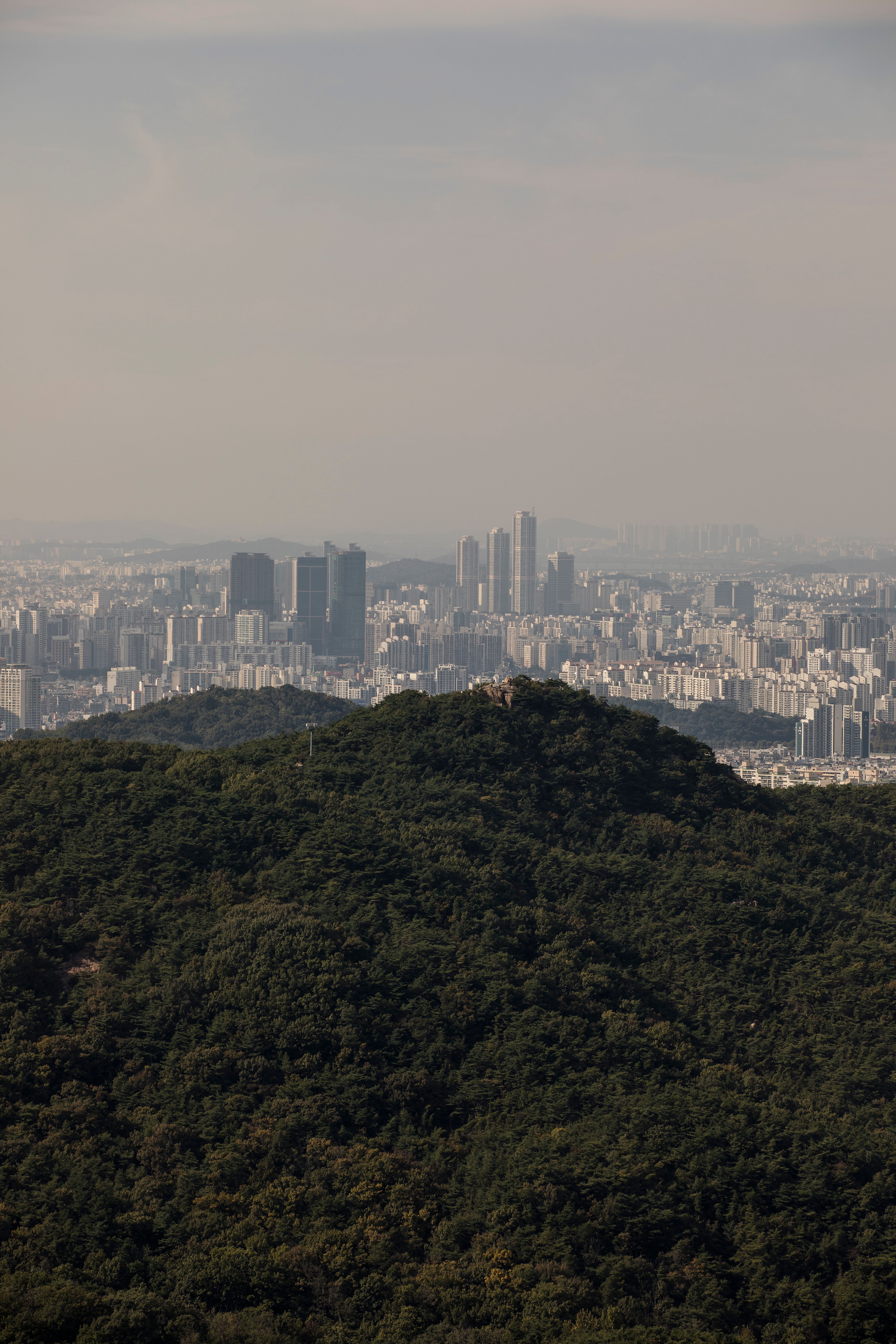 Scenic City Skyline with Green Mountain View · Free Stock Photo