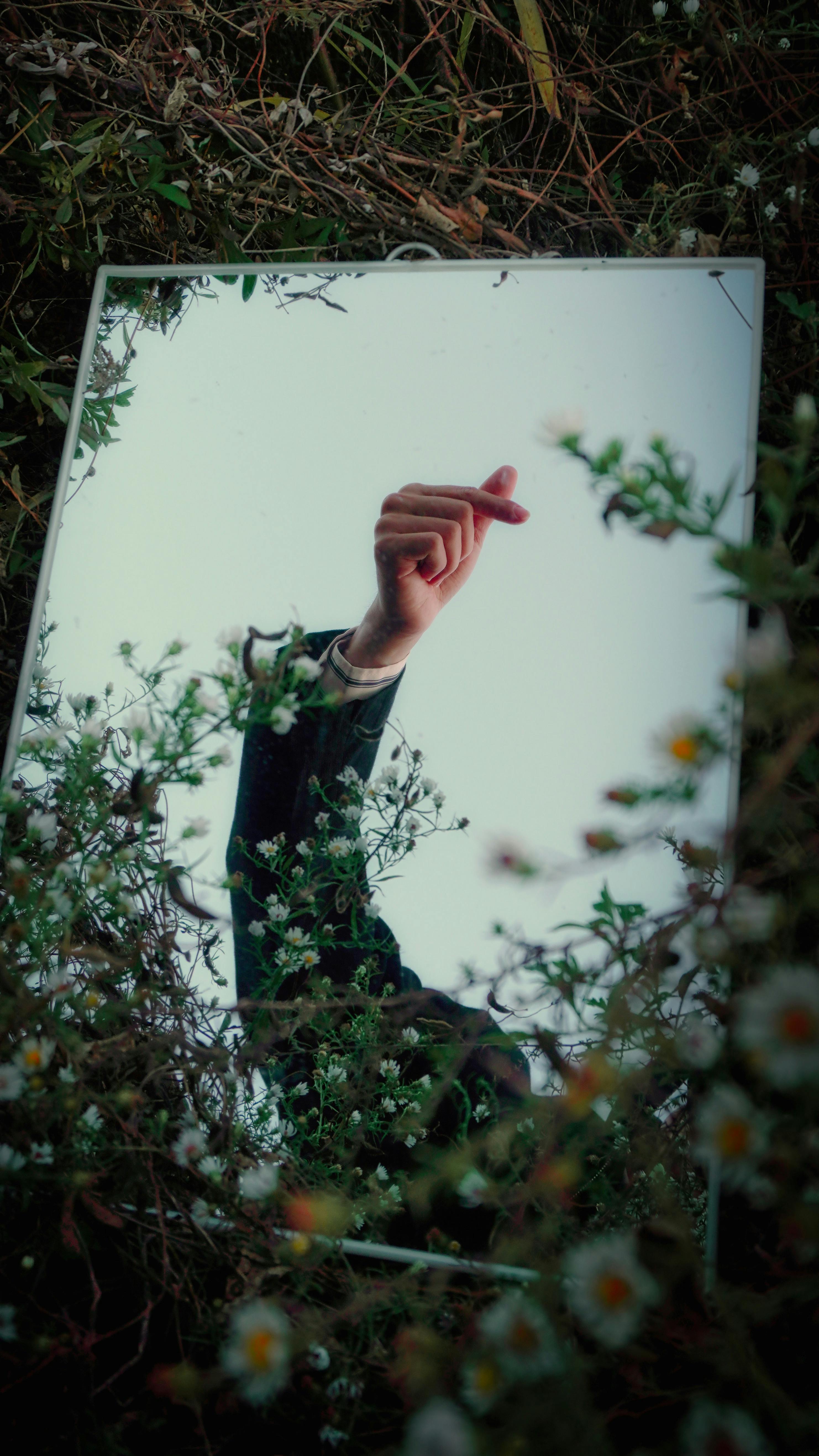 Reflective Hand Gesture in Nature Mirror · Free Stock Photo