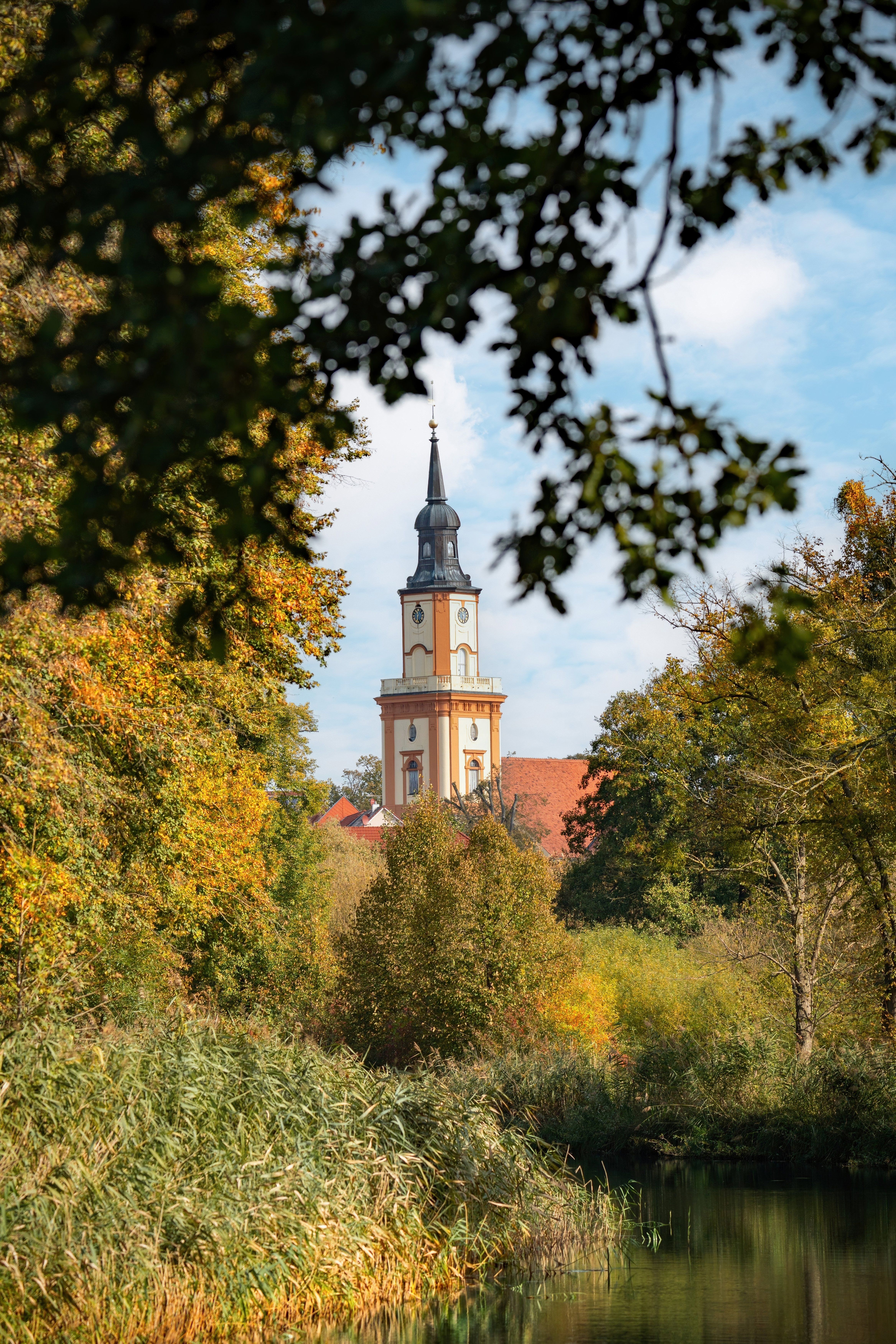 Gothic Clock Tower Amidst Autumn Foliage · Free Stock Photo