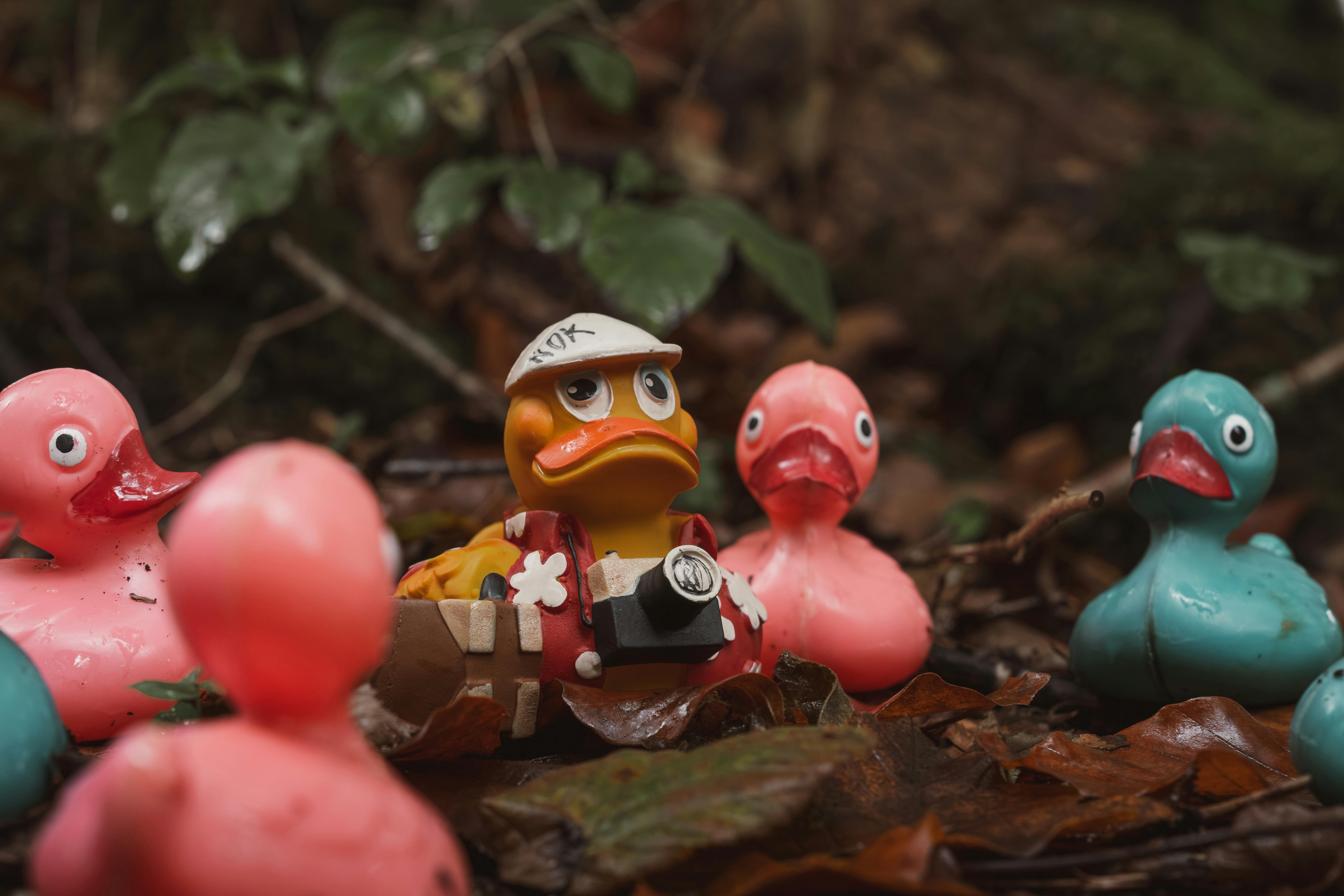Playful Rubber Duck Gathering in Forest Setting · Free Stock Photo