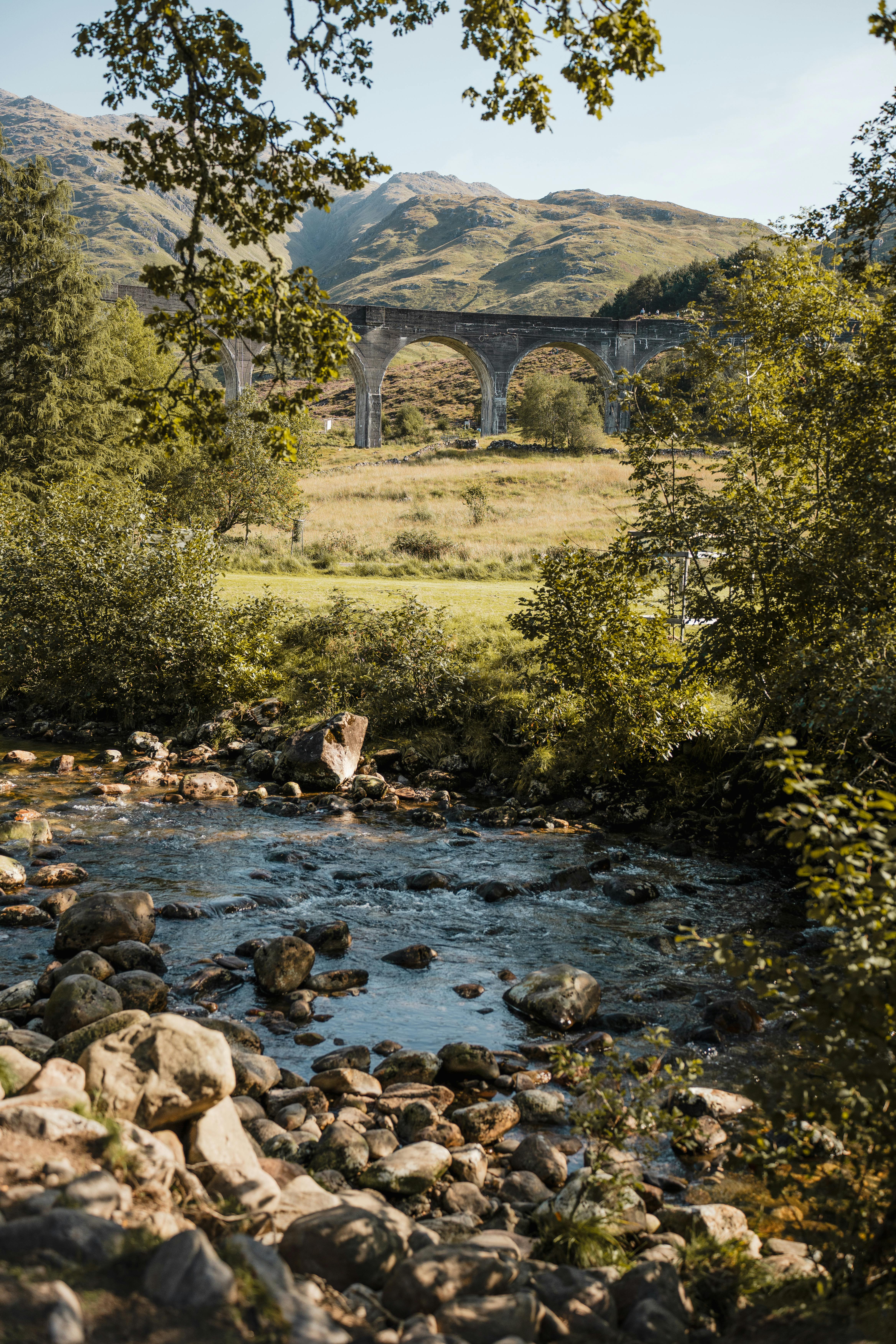 1,000+ Best Brook Photos · 100% Free Download · Pexels Stock Photos