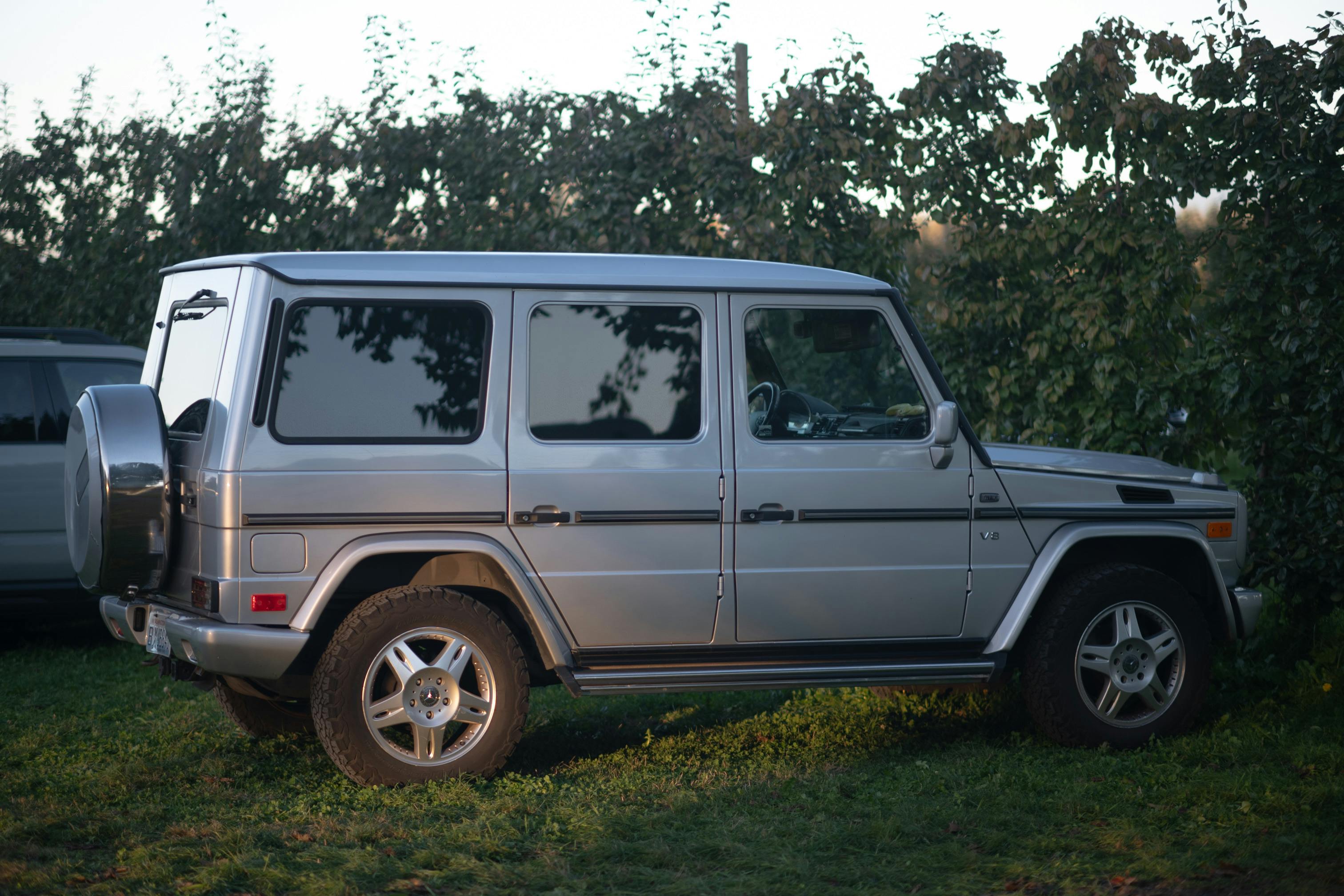 Silver SUV Parked in Green Leafy Surrounding · Free Stock Photo