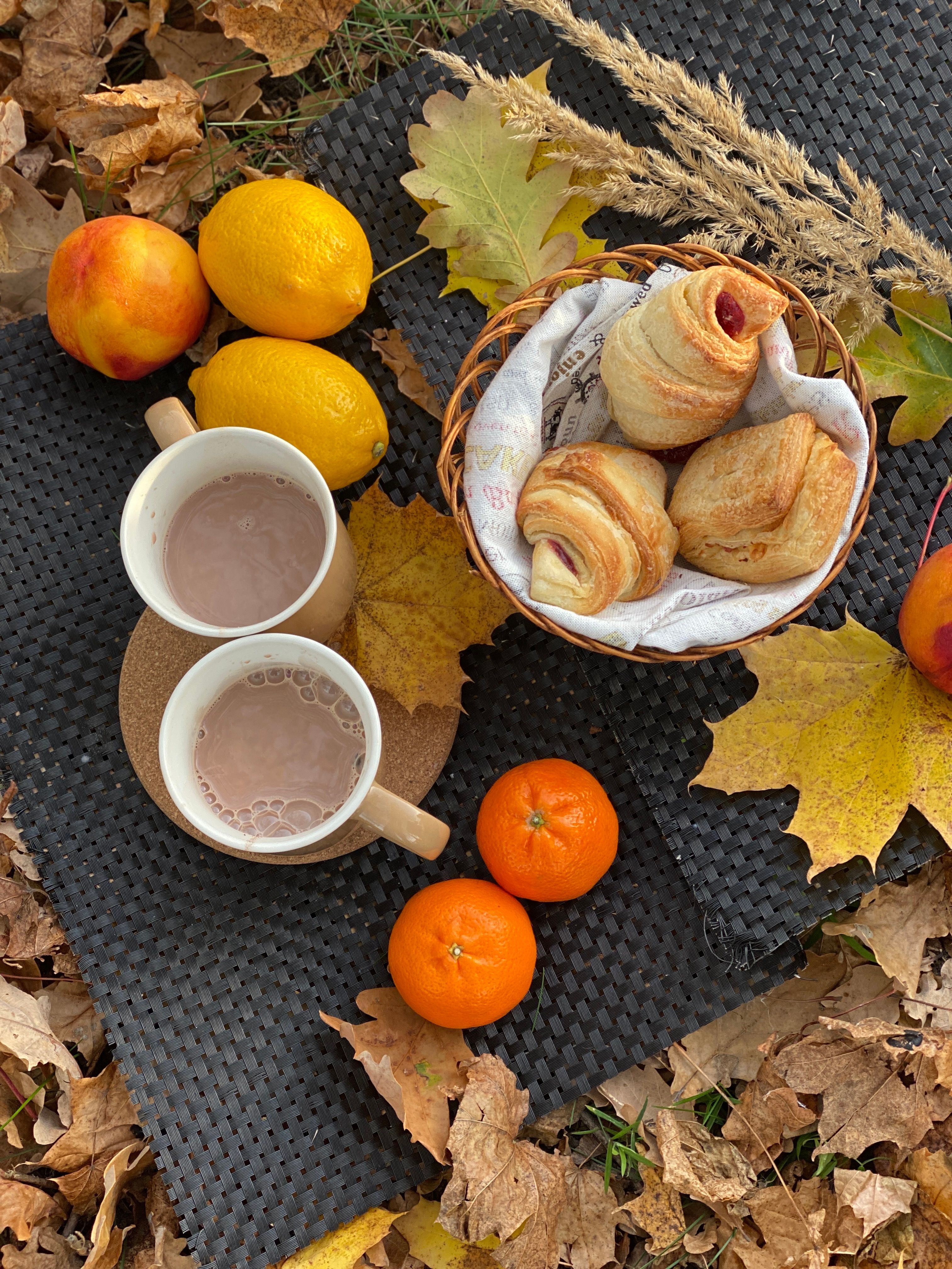 Autumn Picnic with Croissants and Hot Chocolate · Free Stock Photo