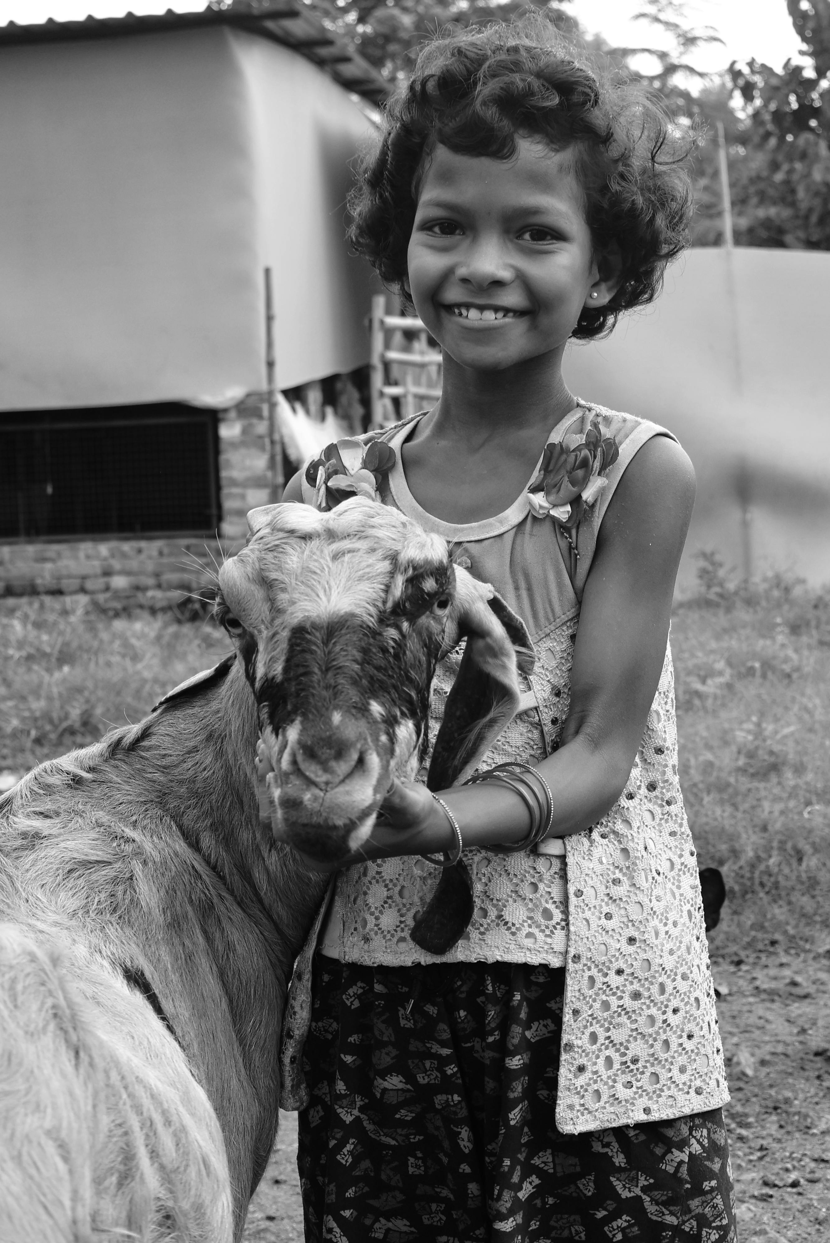 Smiling Child Embracing a Goat Outdoors · Free Stock Photo