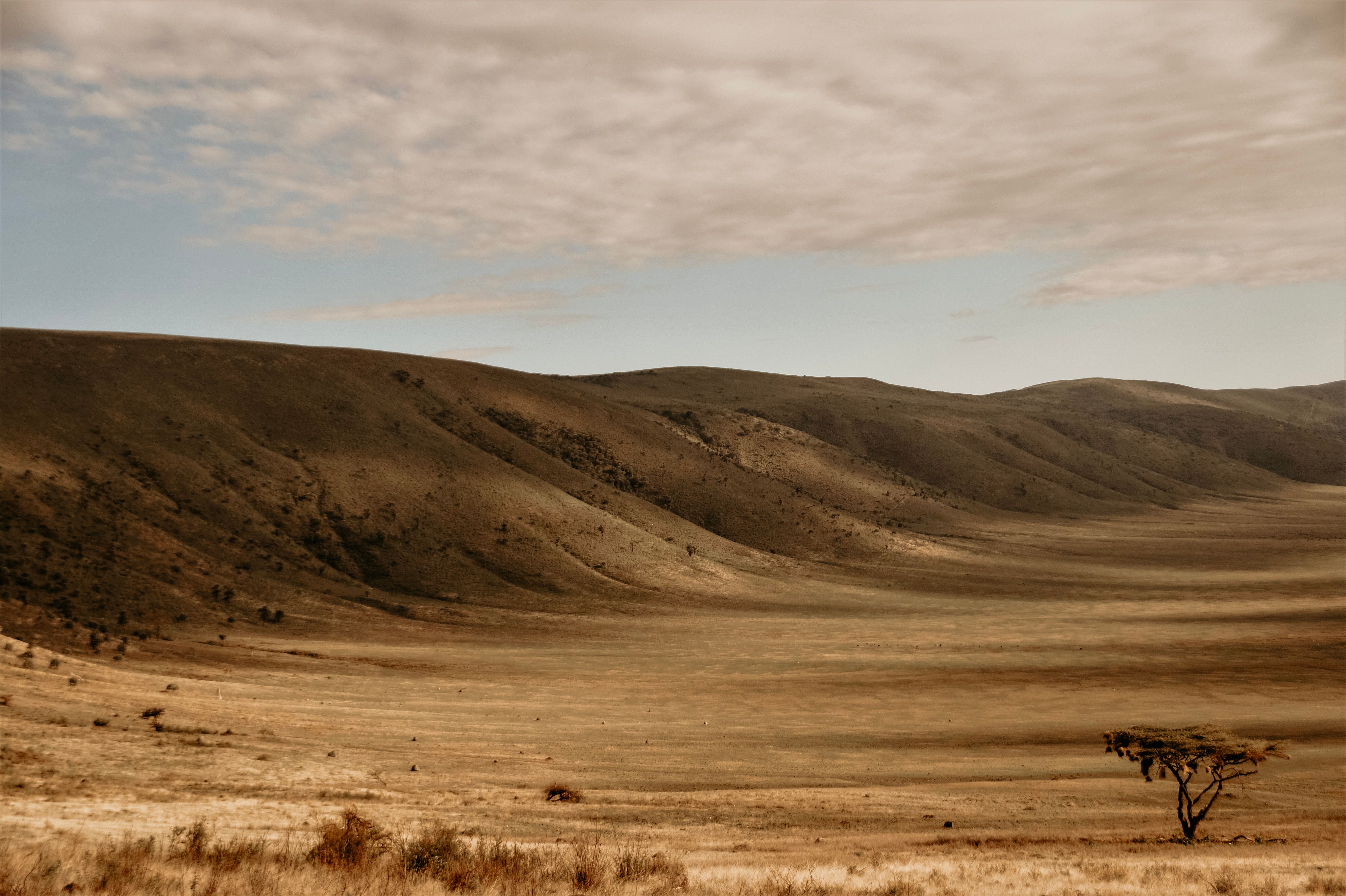 Serene Ngorongoro Crater Landscape at Dusk · Free Stock Photo