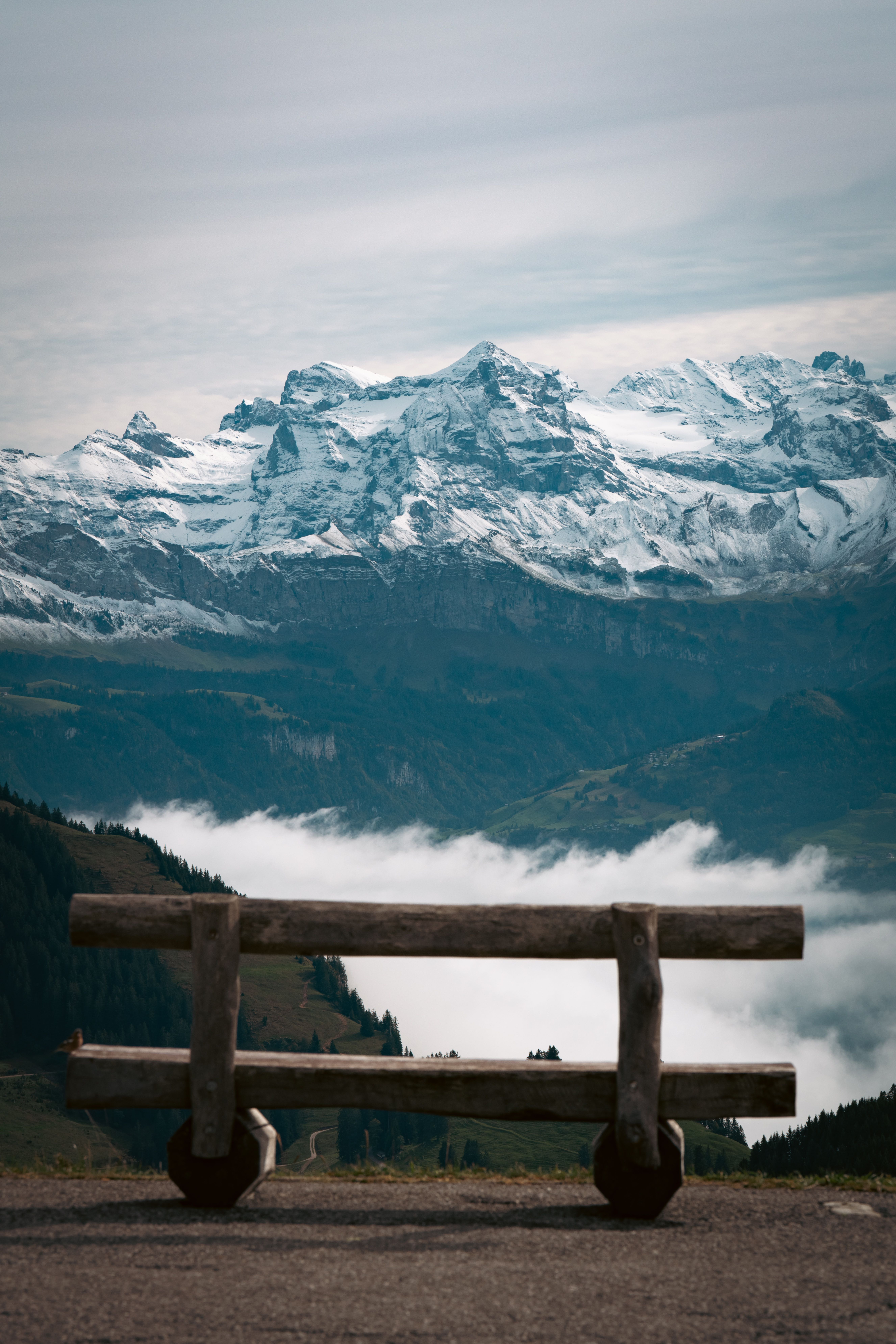 Scenic Mountain View with Wooden Bench · Free Stock Photo