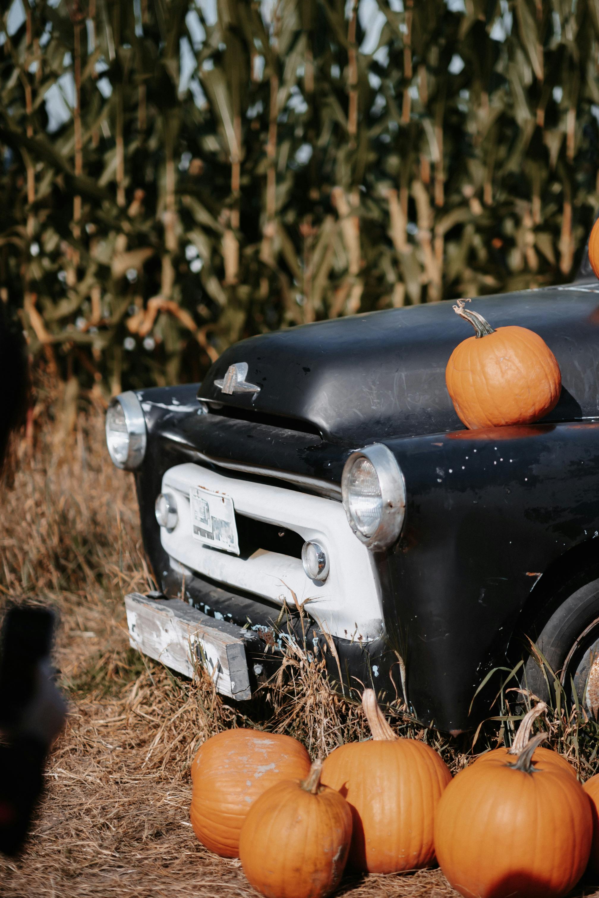 Rustic Autumn Scene with Pumpkins and Vintage Car · Free Stock Photo