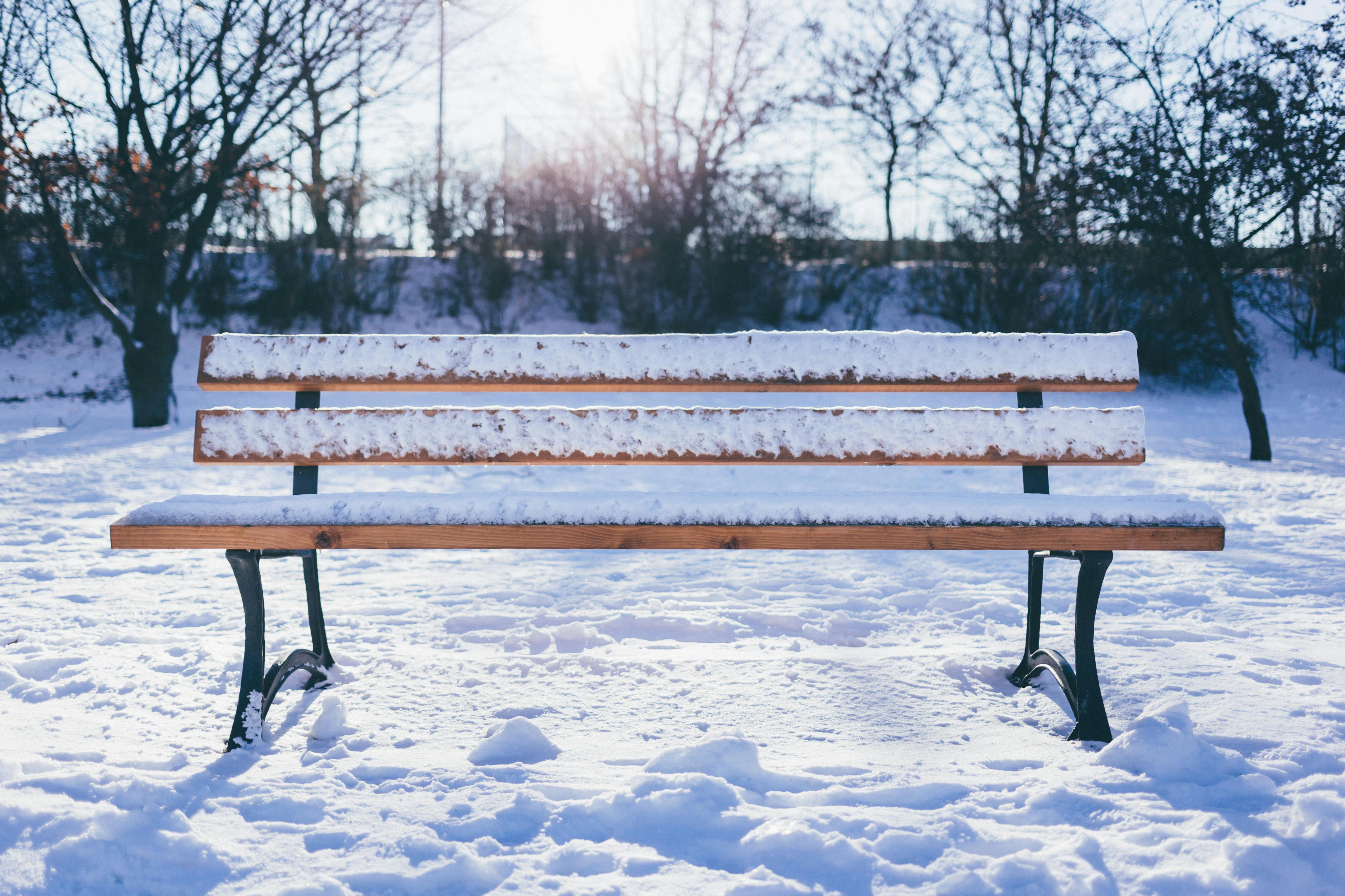 Brown Wooden Patio Bench on Snow · Free Stock Photo